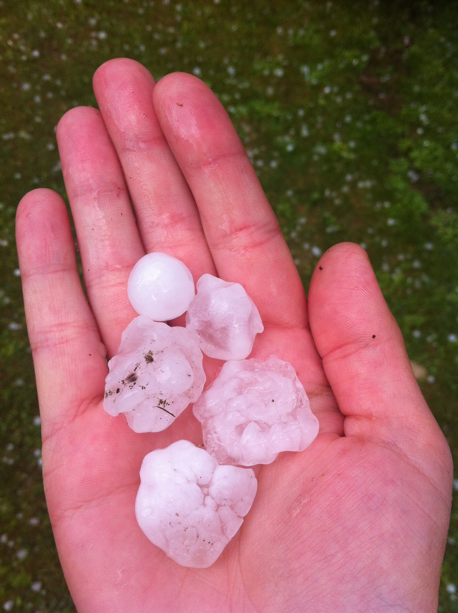 Große Hagelkörner im Norden - Gmünd