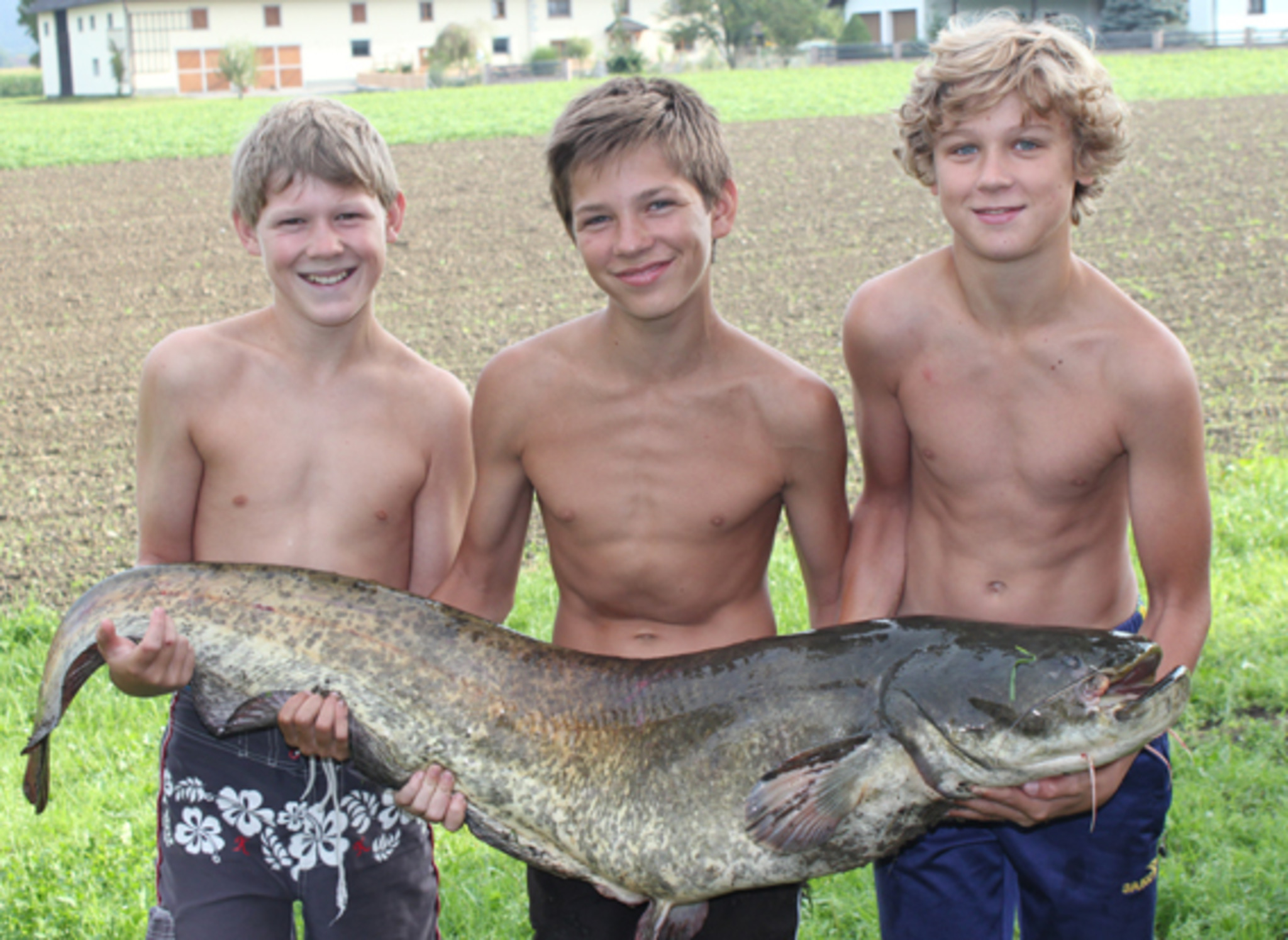 Riesenwels im Lauterbach gefangen - Urfahr-Umgebung