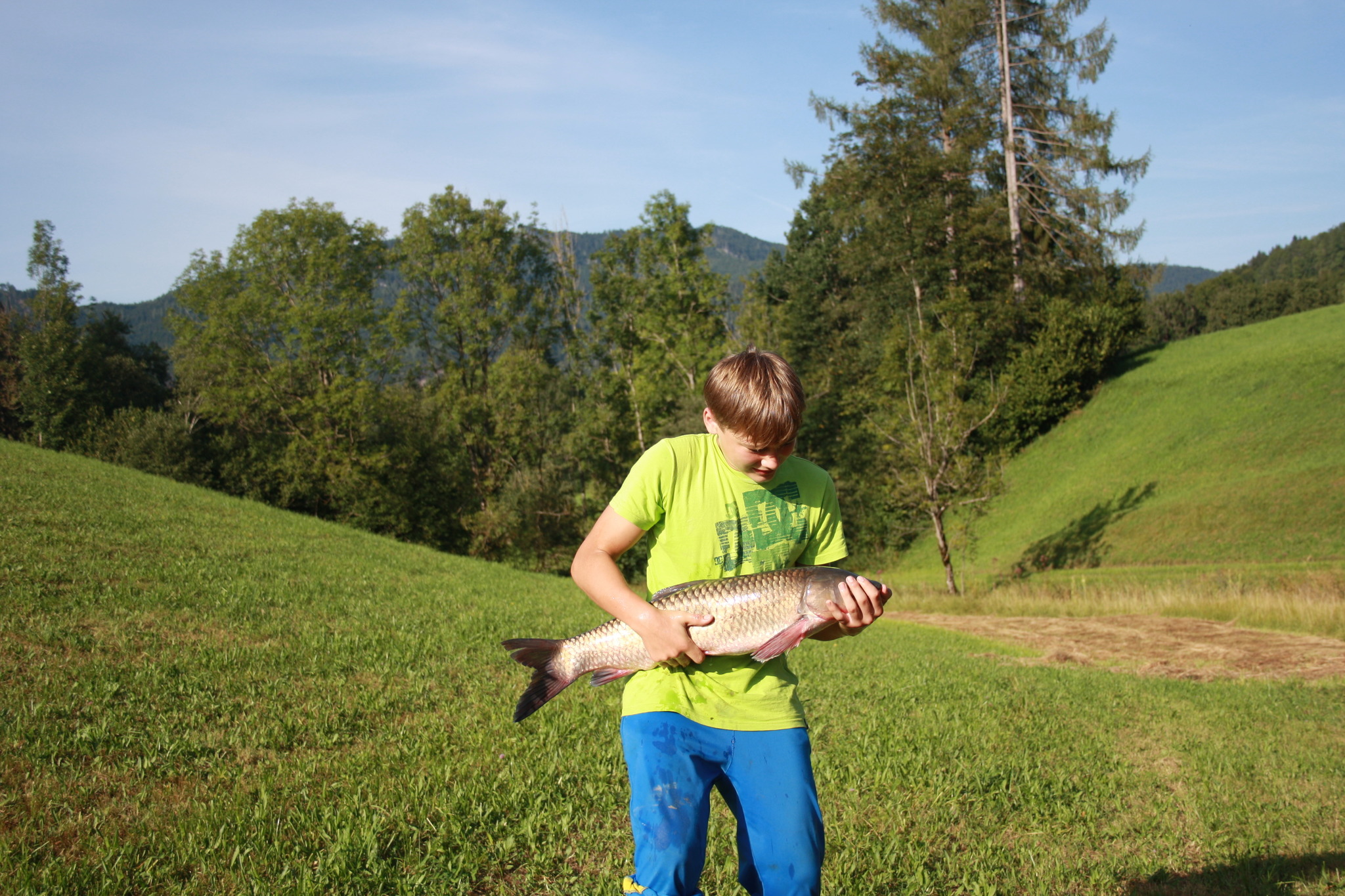 Rekord-Amur gefangen - Kirchdorf