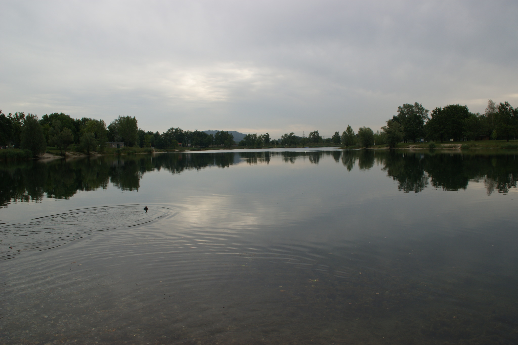 Mediale Plattform für "Rettet den Pichlingersee" - Linz