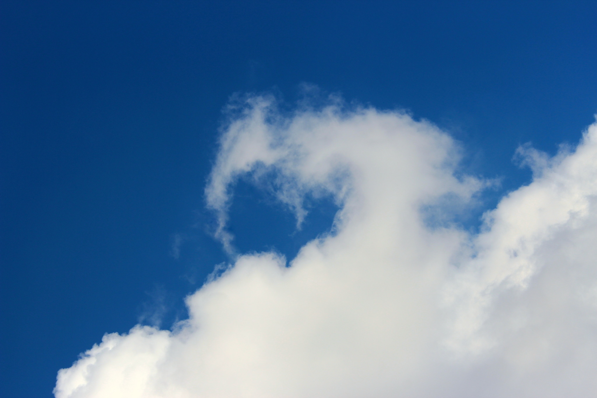 Energiesehen, Vesseling! - Favoriten