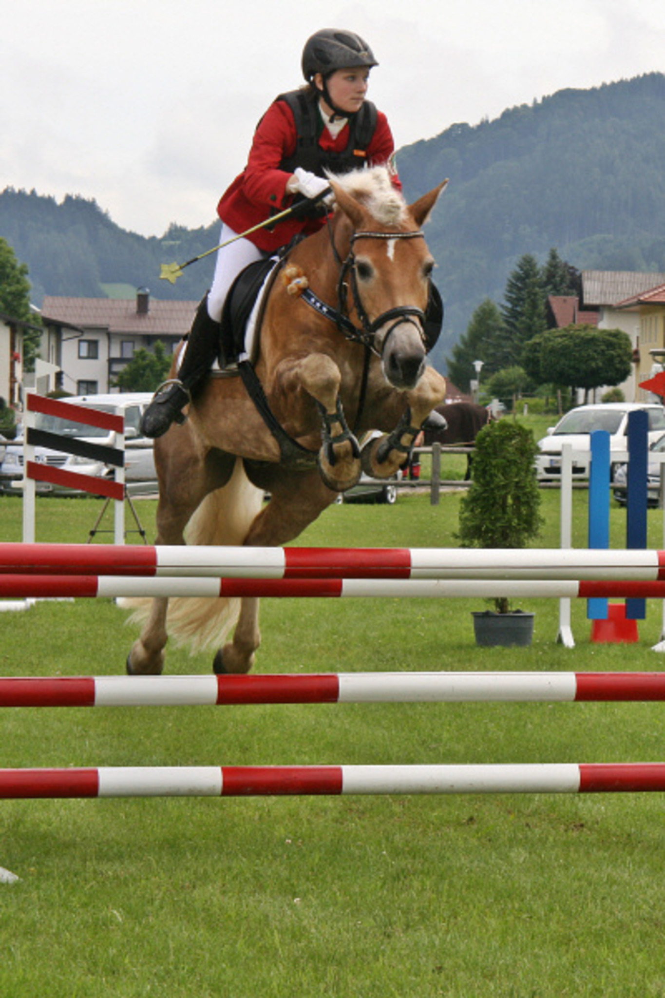 Meisterliche Erfolge im Springen - Salzkammergut
