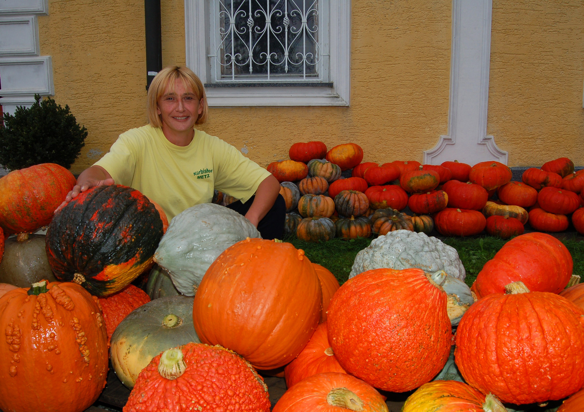 Gemüse voller Vielfalt - Enns