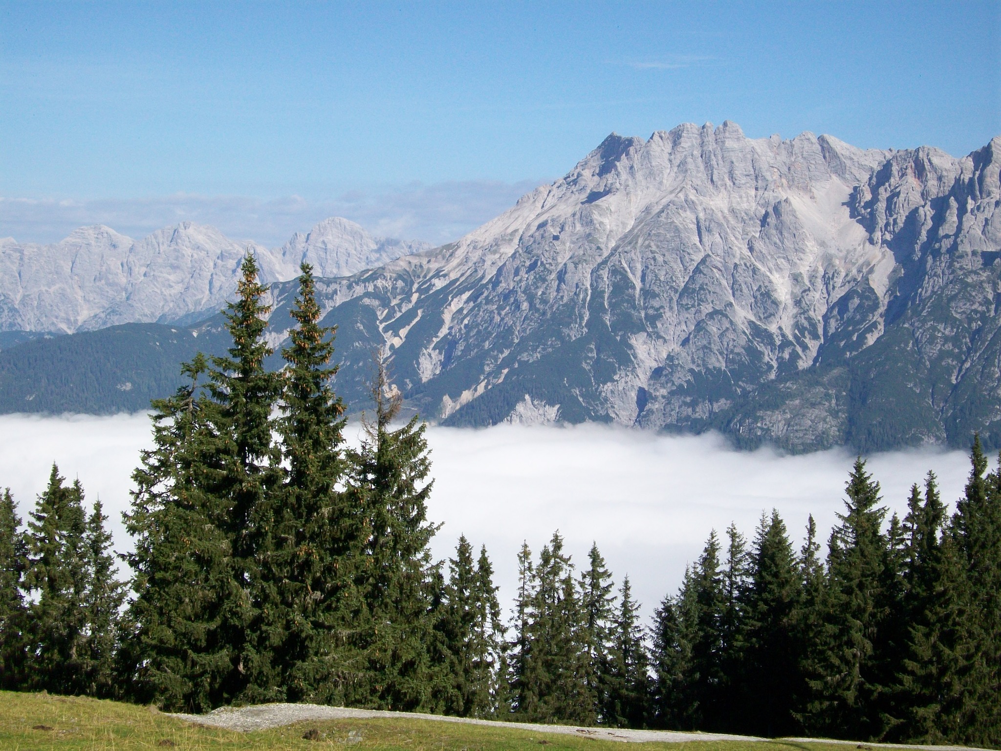 ASITZ LEOGANG: - Pinzgau
