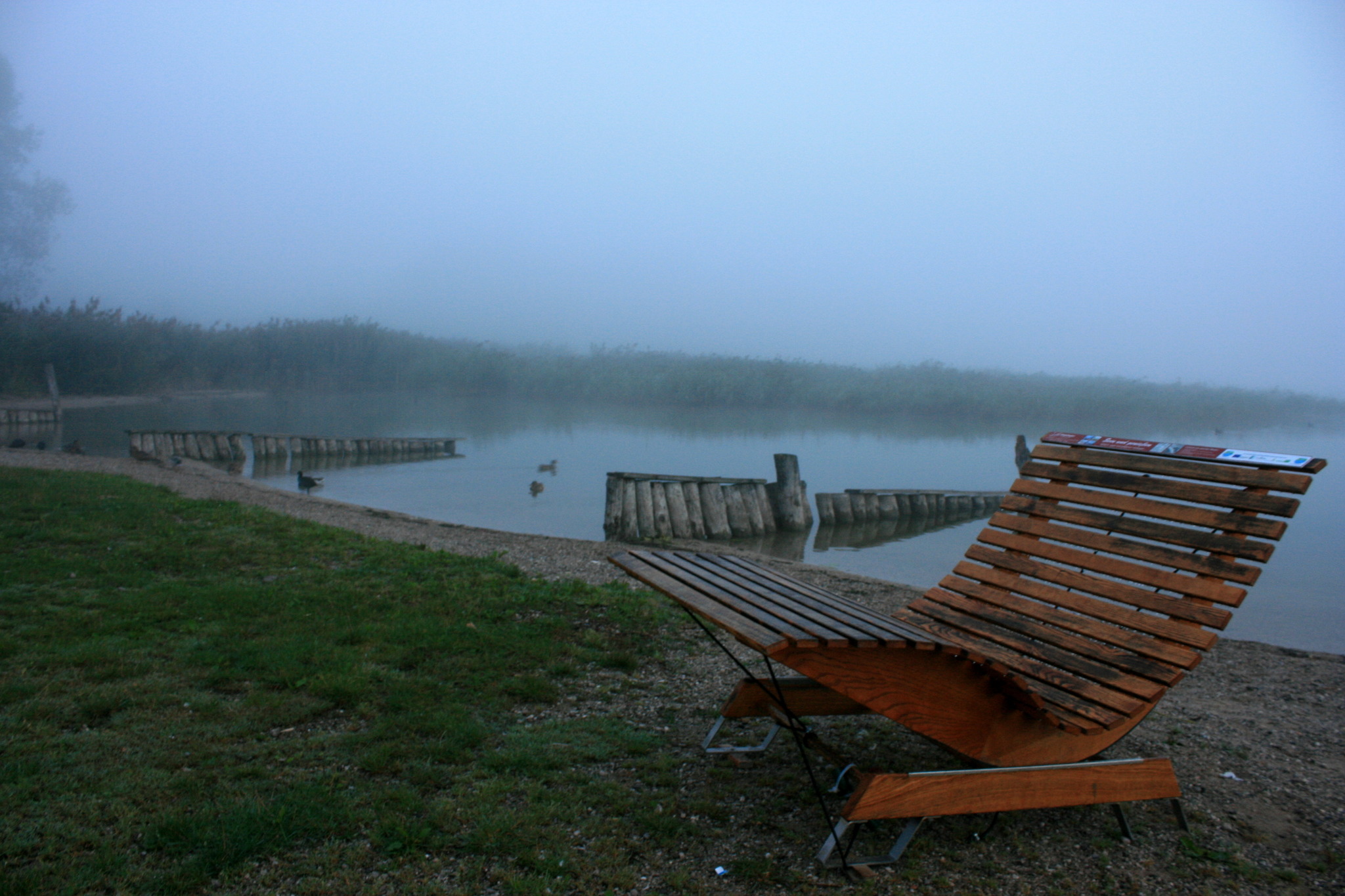 Die Wiegeliege vom Wallersee an einem nebligen Septembermorgen ...
