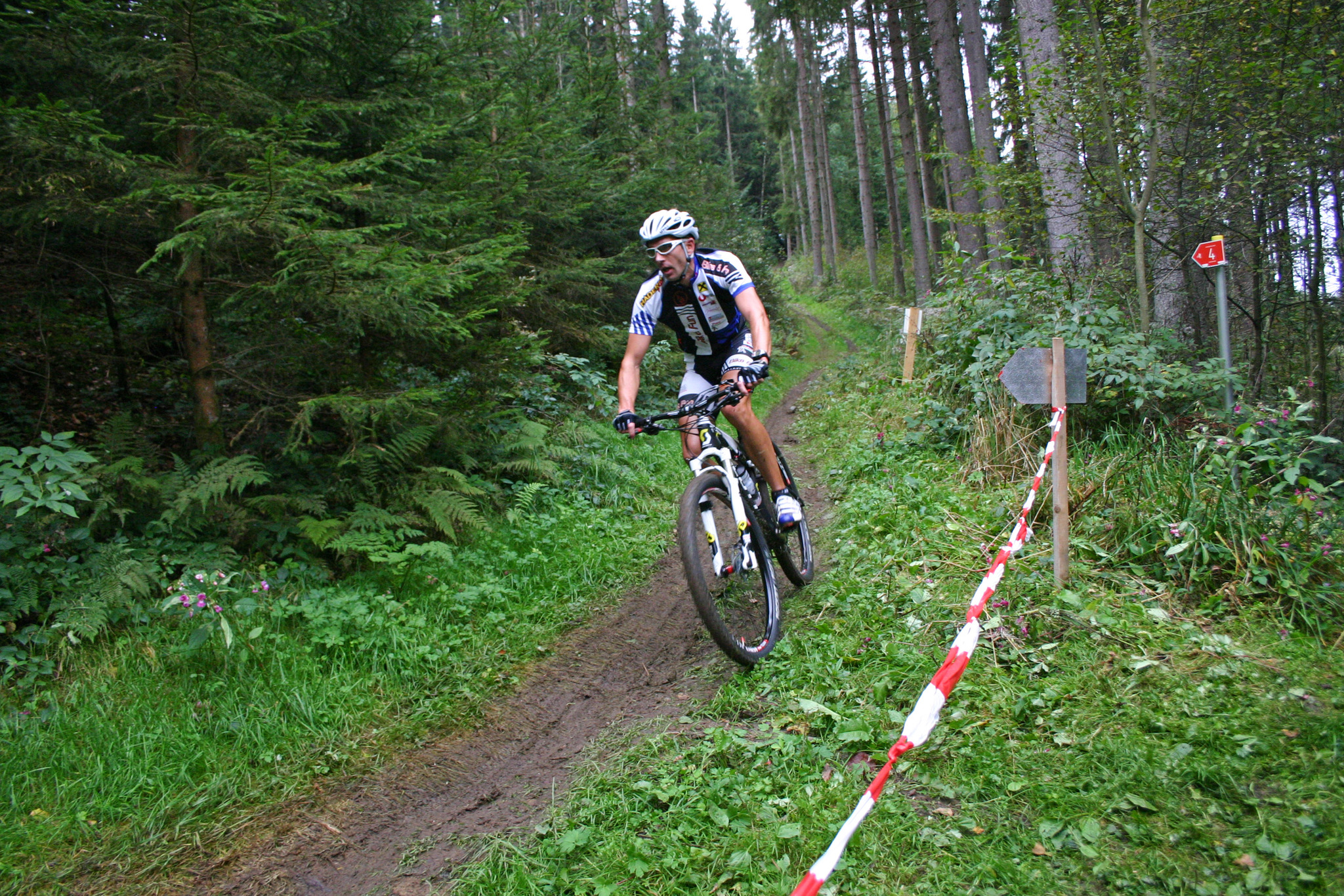 Teuflischer Ritt durch St. Peters Wälder - Rohrbach