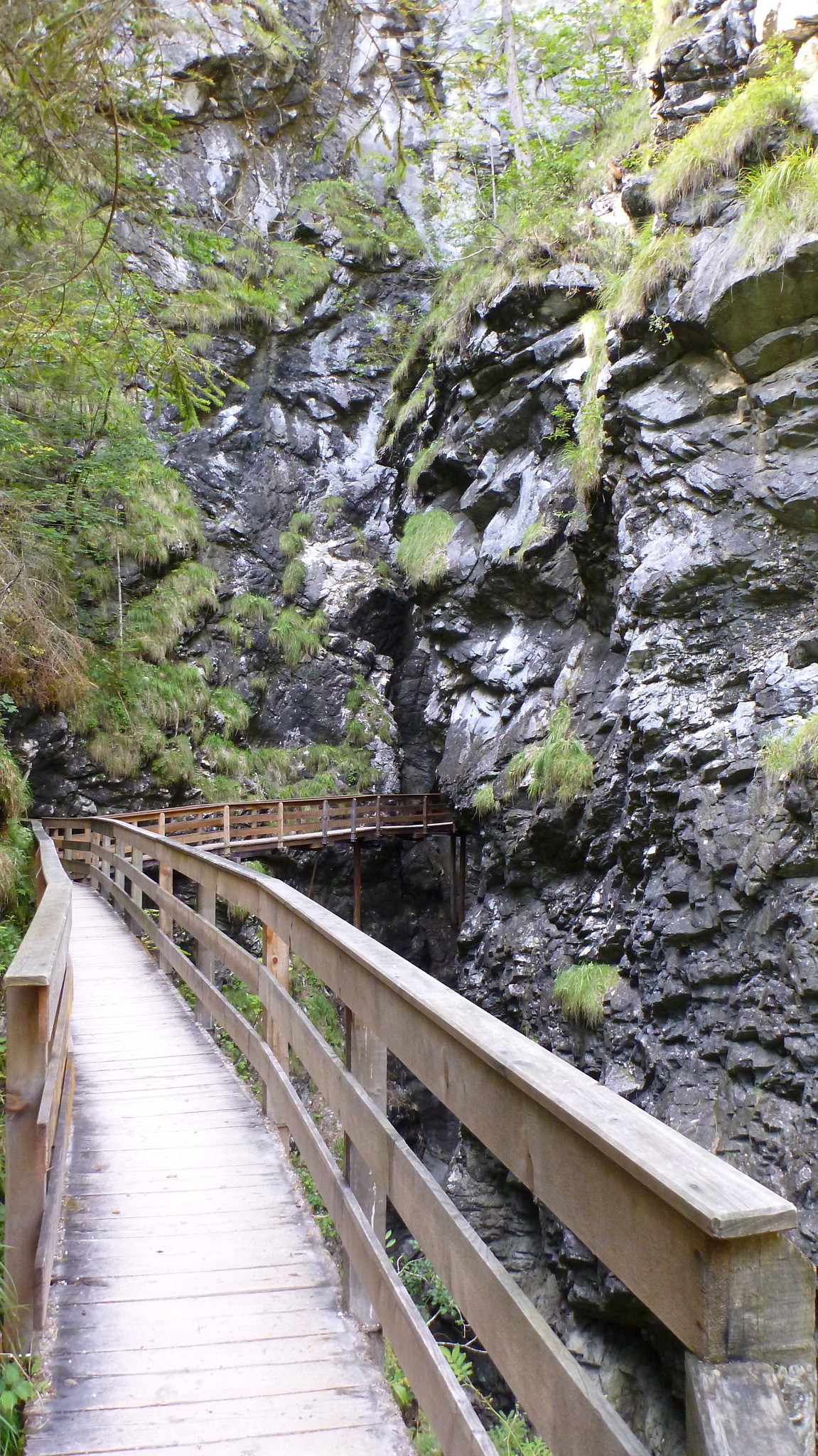 Wilde Schönheit - Vorderkaserklamm - Braunau