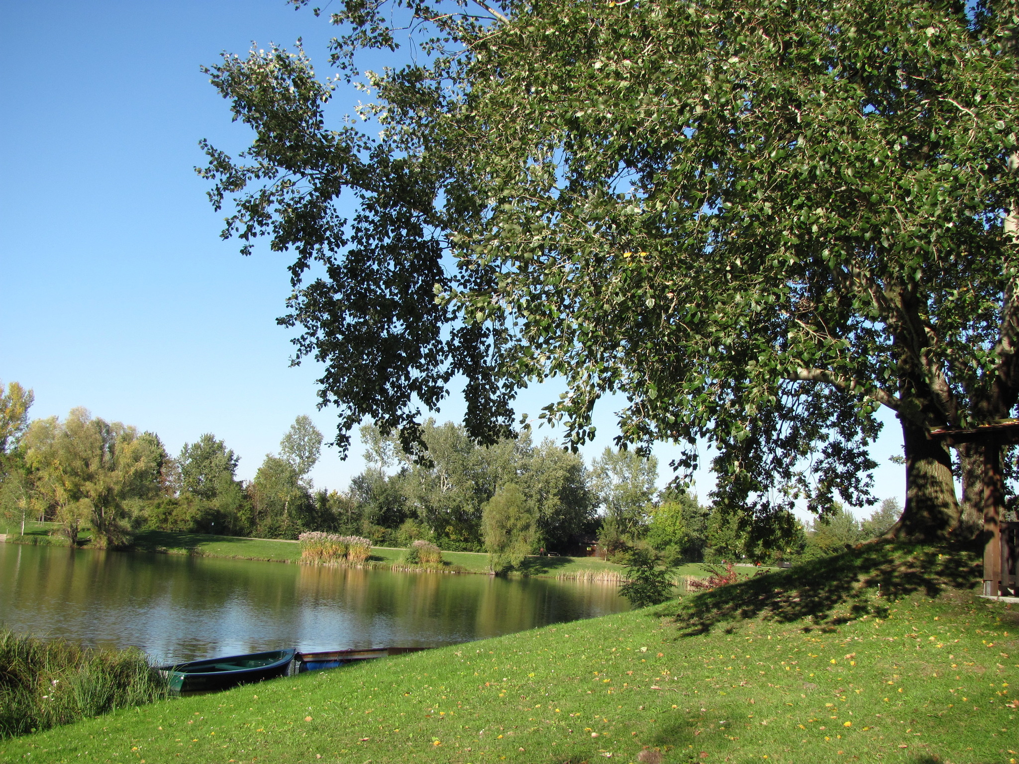 Das Aubad ist immer einen Spaziergang wert. - Tulln