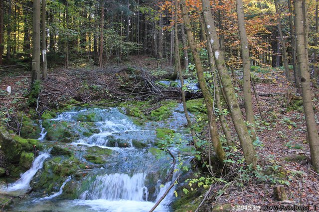 Ein Ruhiger Ort - Villach