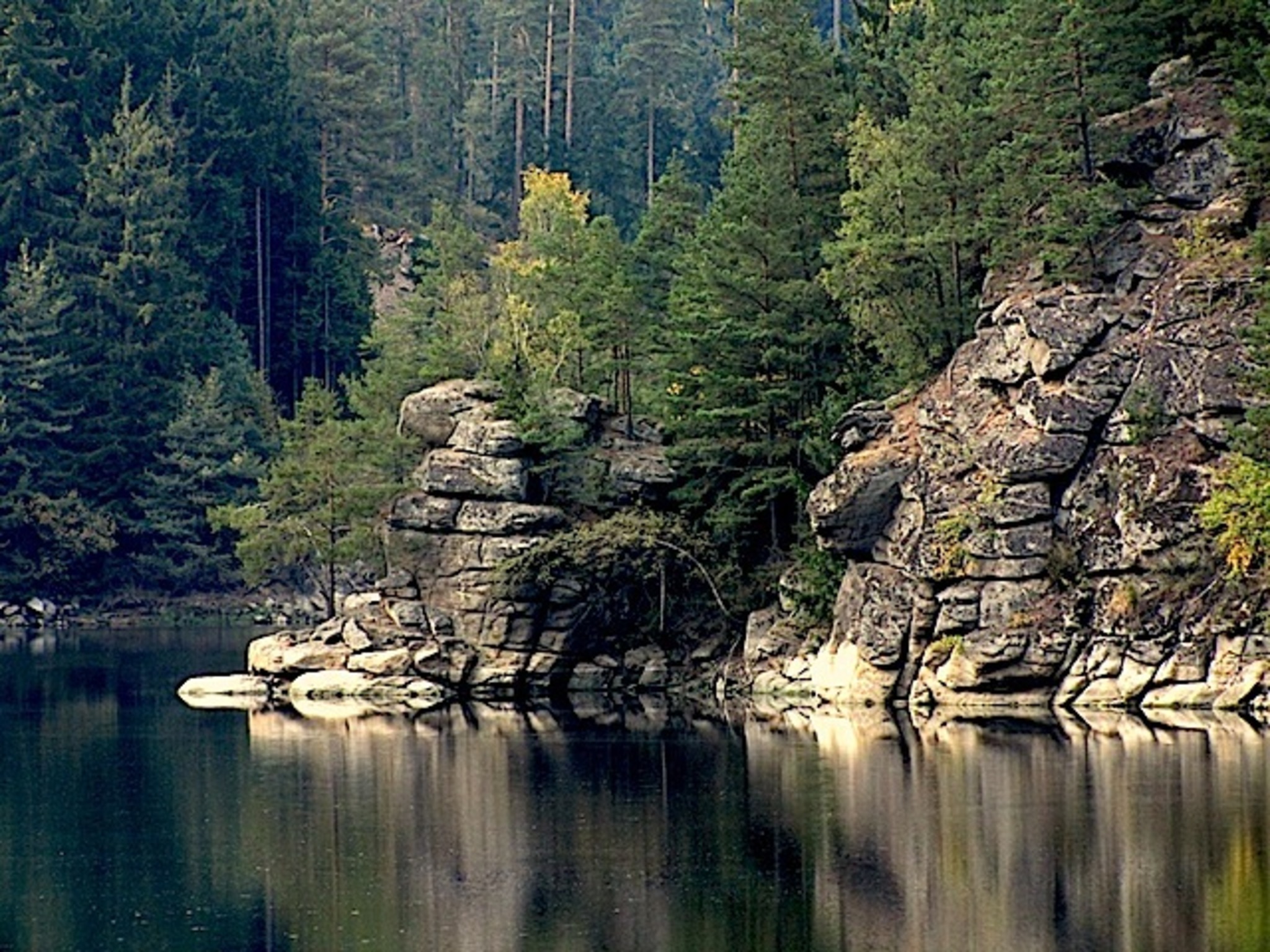 ZWalk – Wanderungen rund um Zwettl im Waldviertel - Zwettl