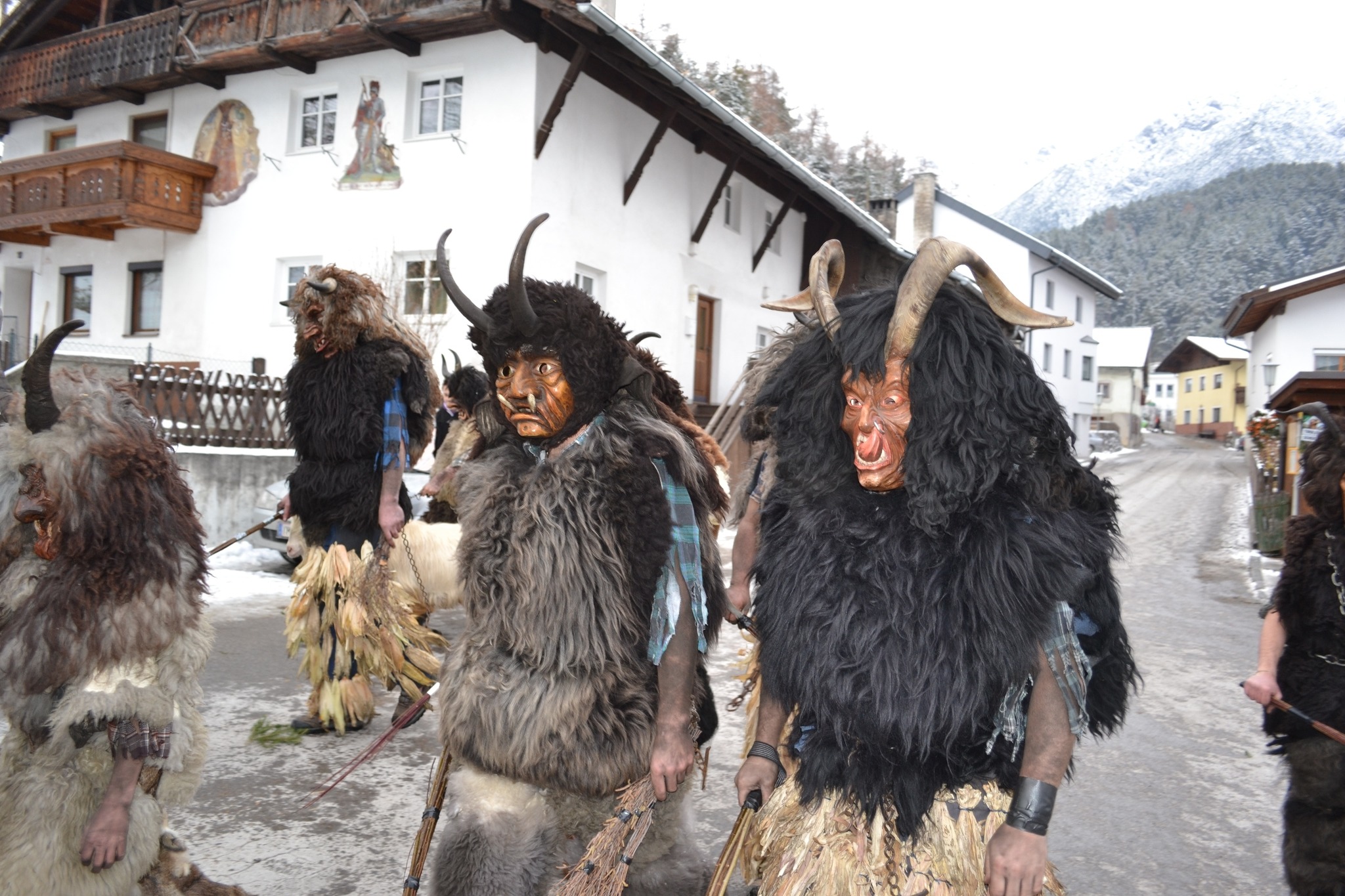 Tarreter Krampeler – Fotos und Larven - Imst