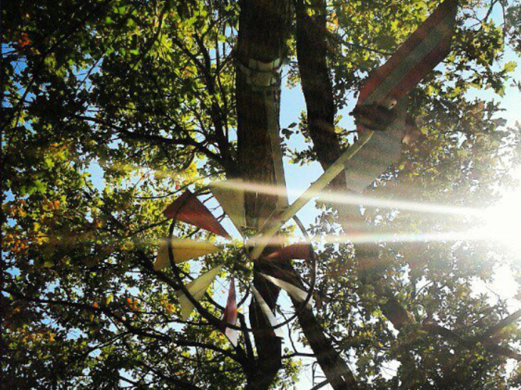 Inszeniert. Die Herbstsonne blinzelt durch die bunten Baumkronen. In ...