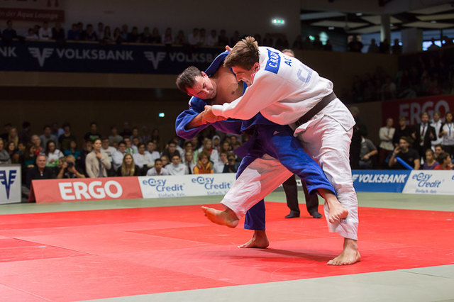 Volksbank Galaxy Judo Tigers Vize-Meister 2012 - Mödling