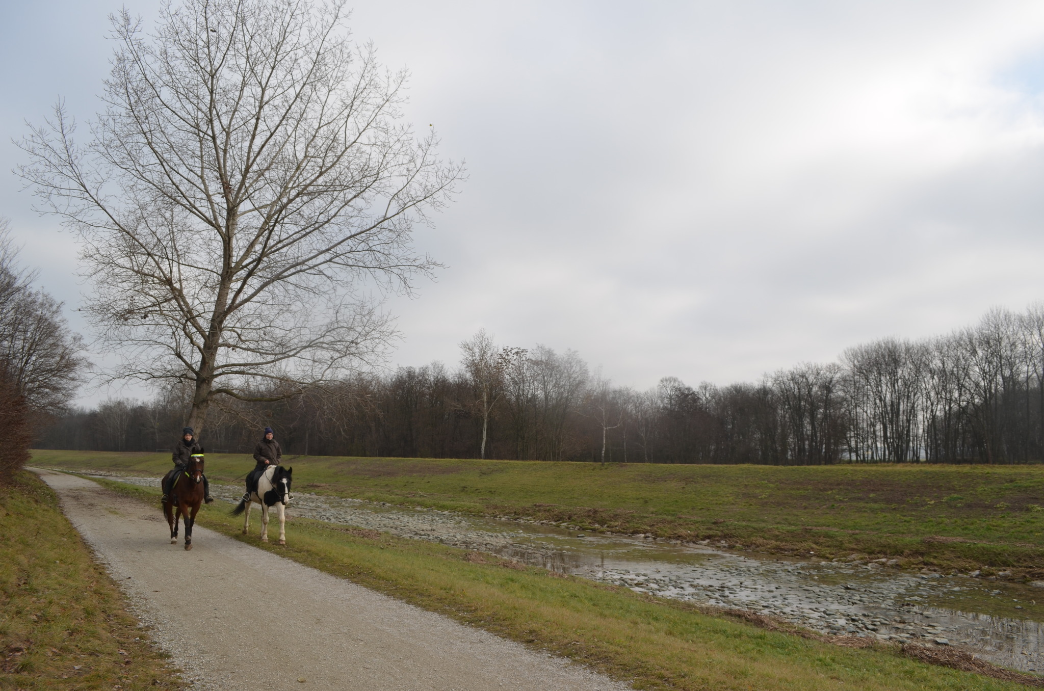 Leitha Fluss bei Lichtenwörth - Wiener Neustadt