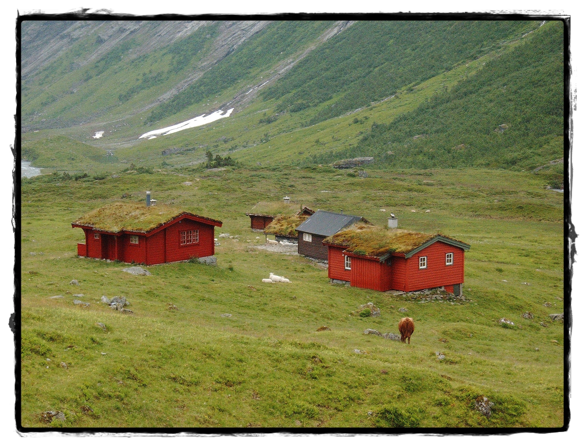 Auf der Alm in Norwegen - Wiener Neustadt