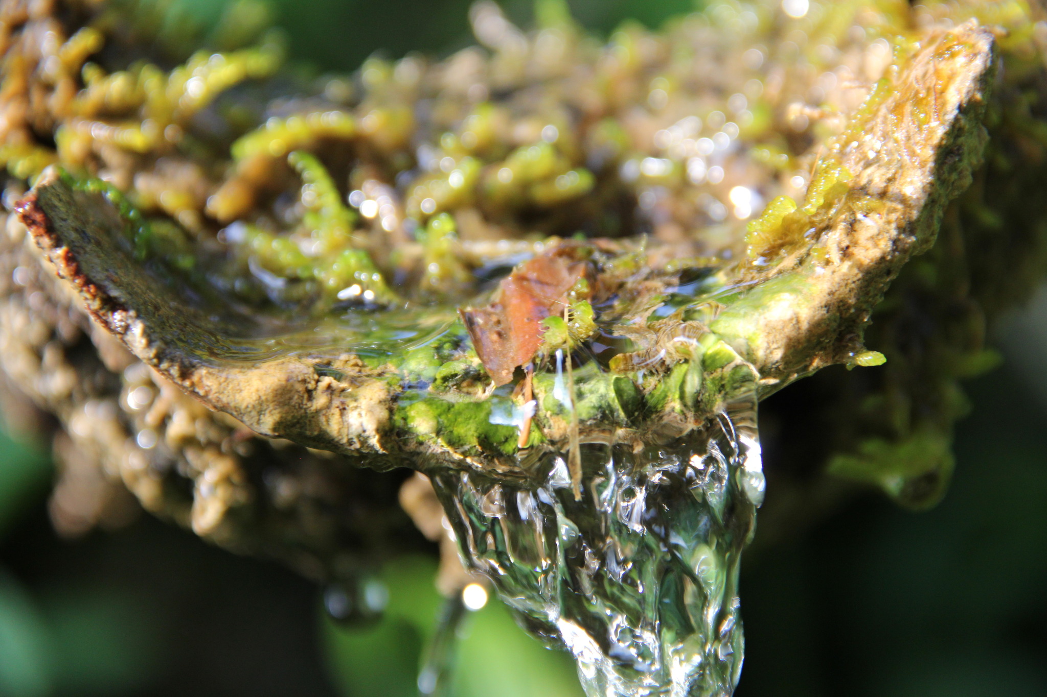 Stilles Wasser - Neunkirchen