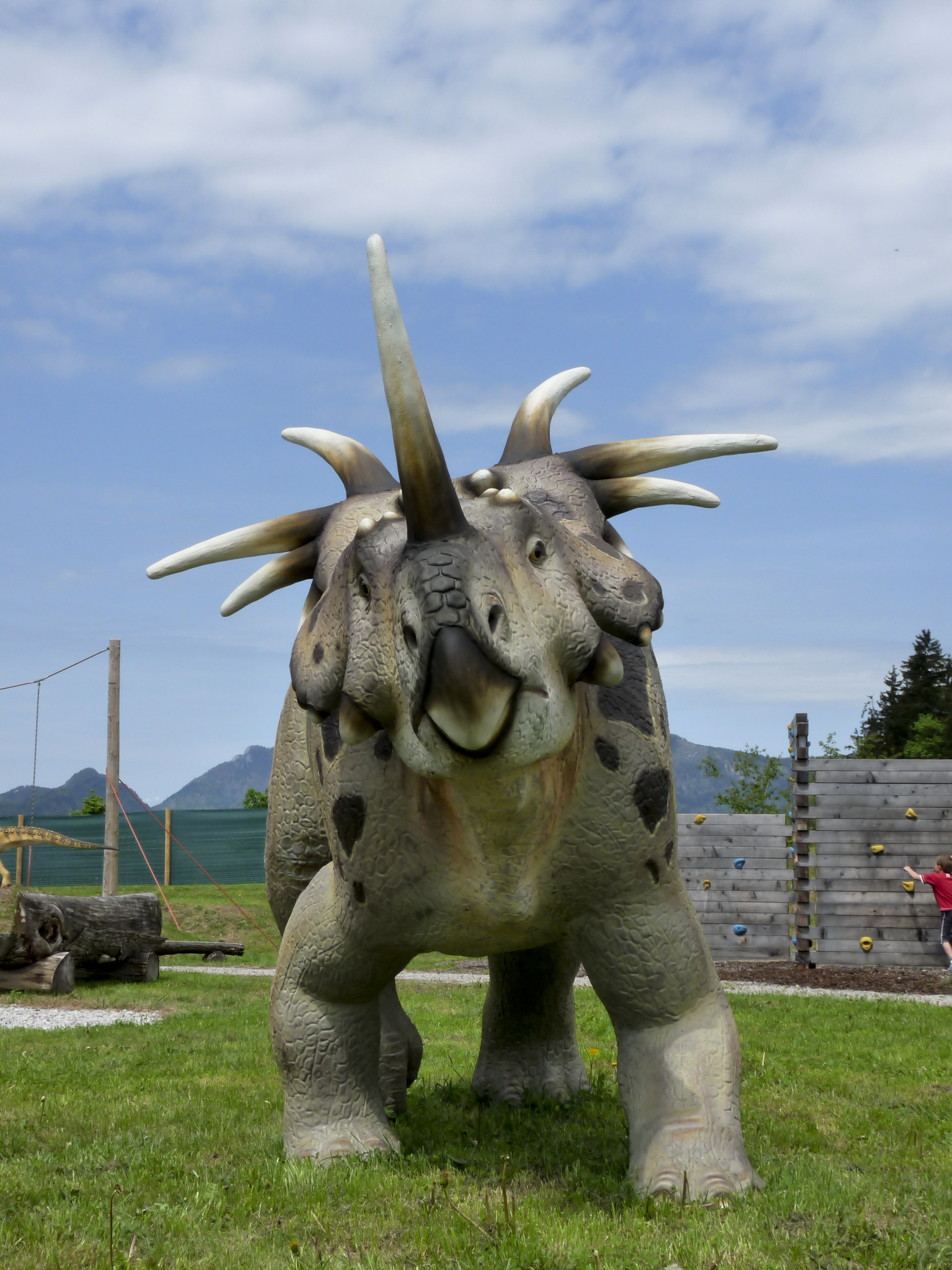 Sie sind da, Giganten der Urzeit - Innsbruck