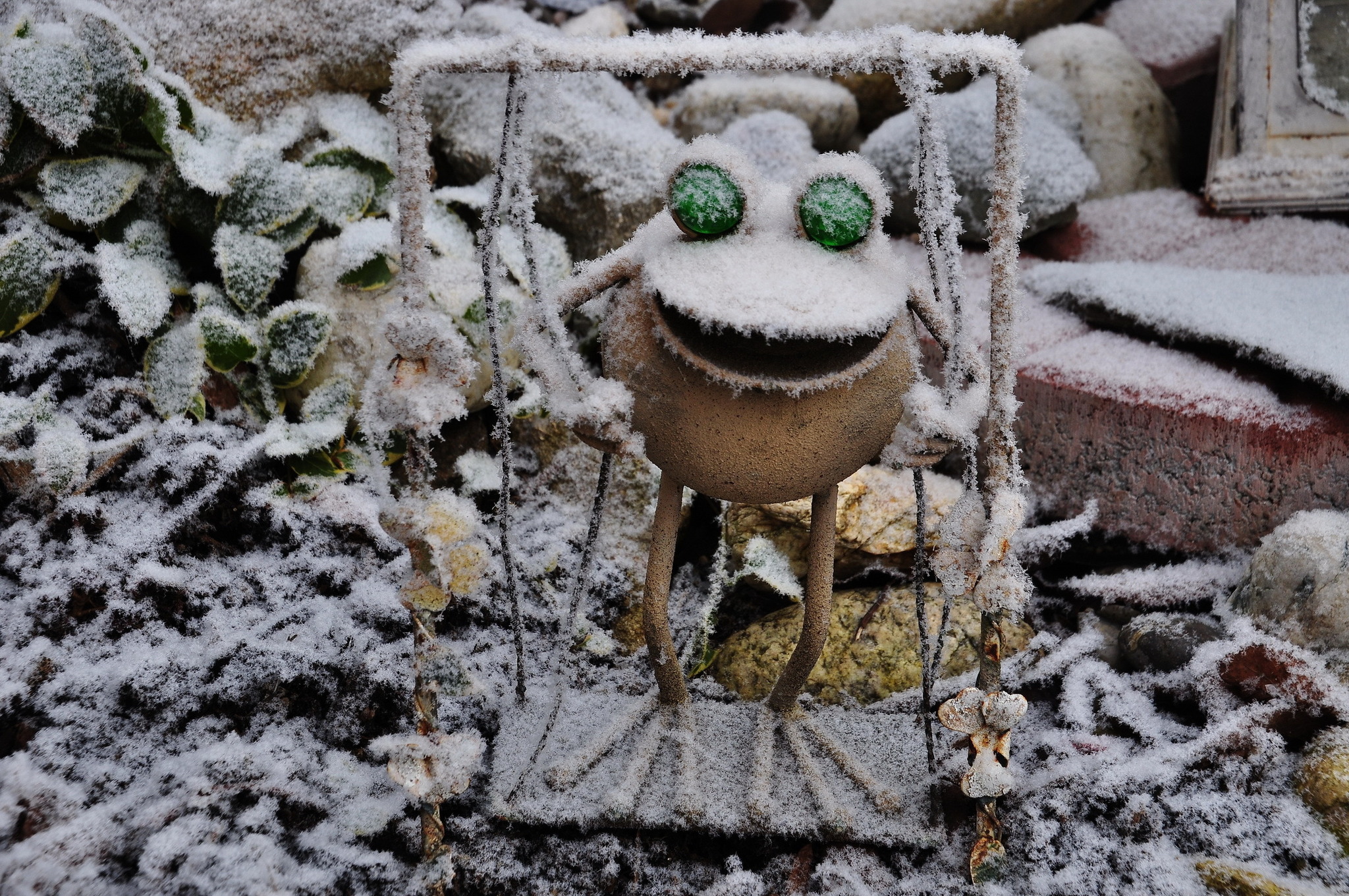 AUCH DEM FROSCH IST KALT - Leibnitz