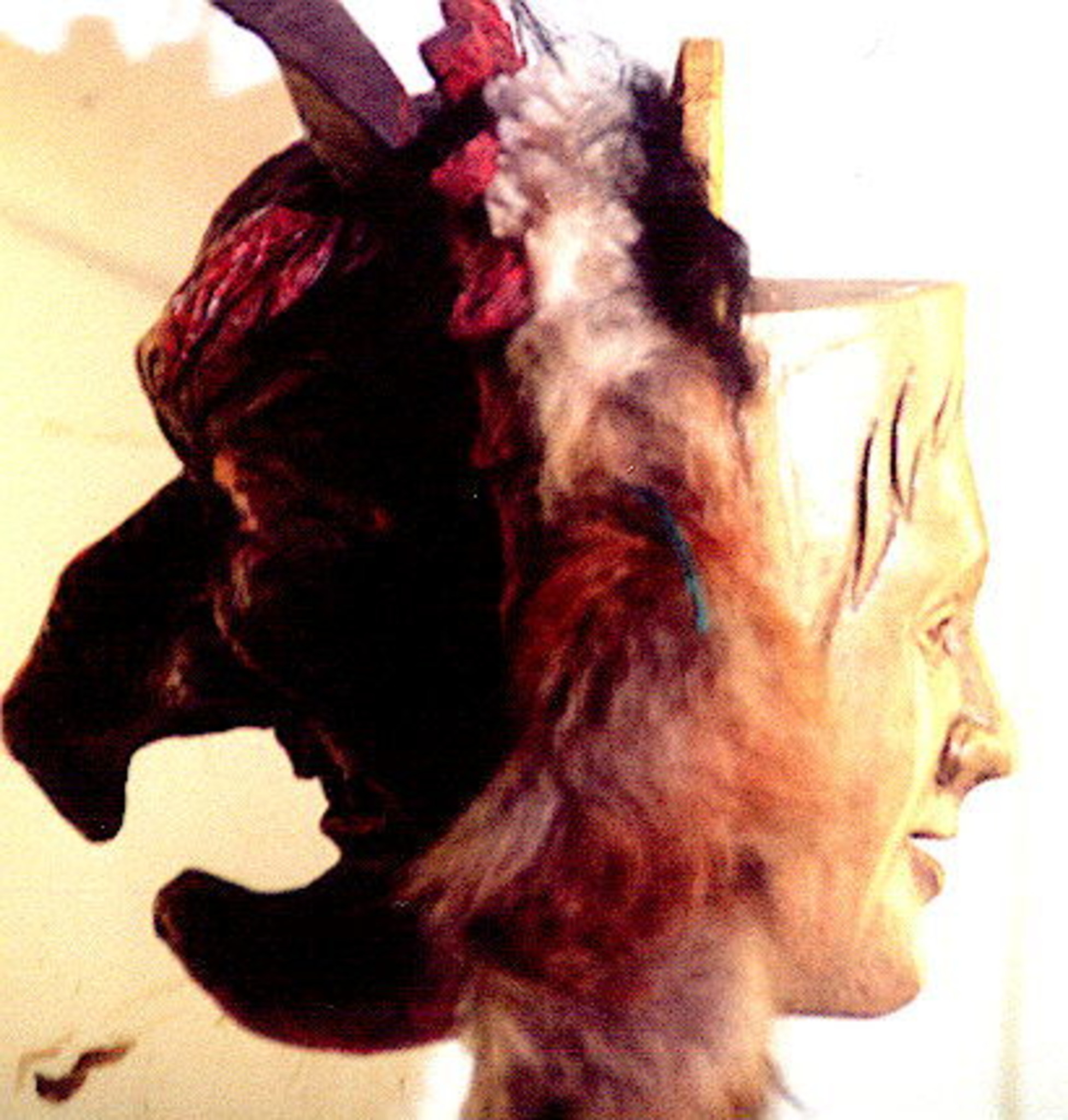 Frau Perchta - Proserpina: zu den Ursprüngen des Perchtenlaufs - Hall-Rum