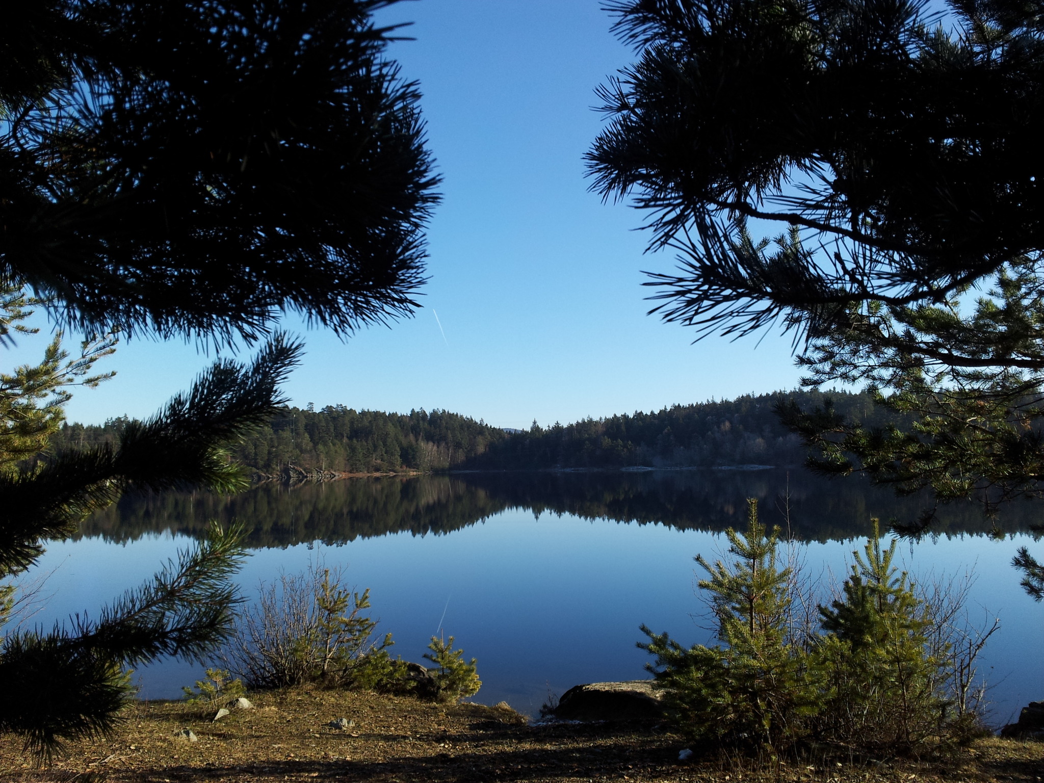 Forstsee in Techelsberg - Klagenfurt Land