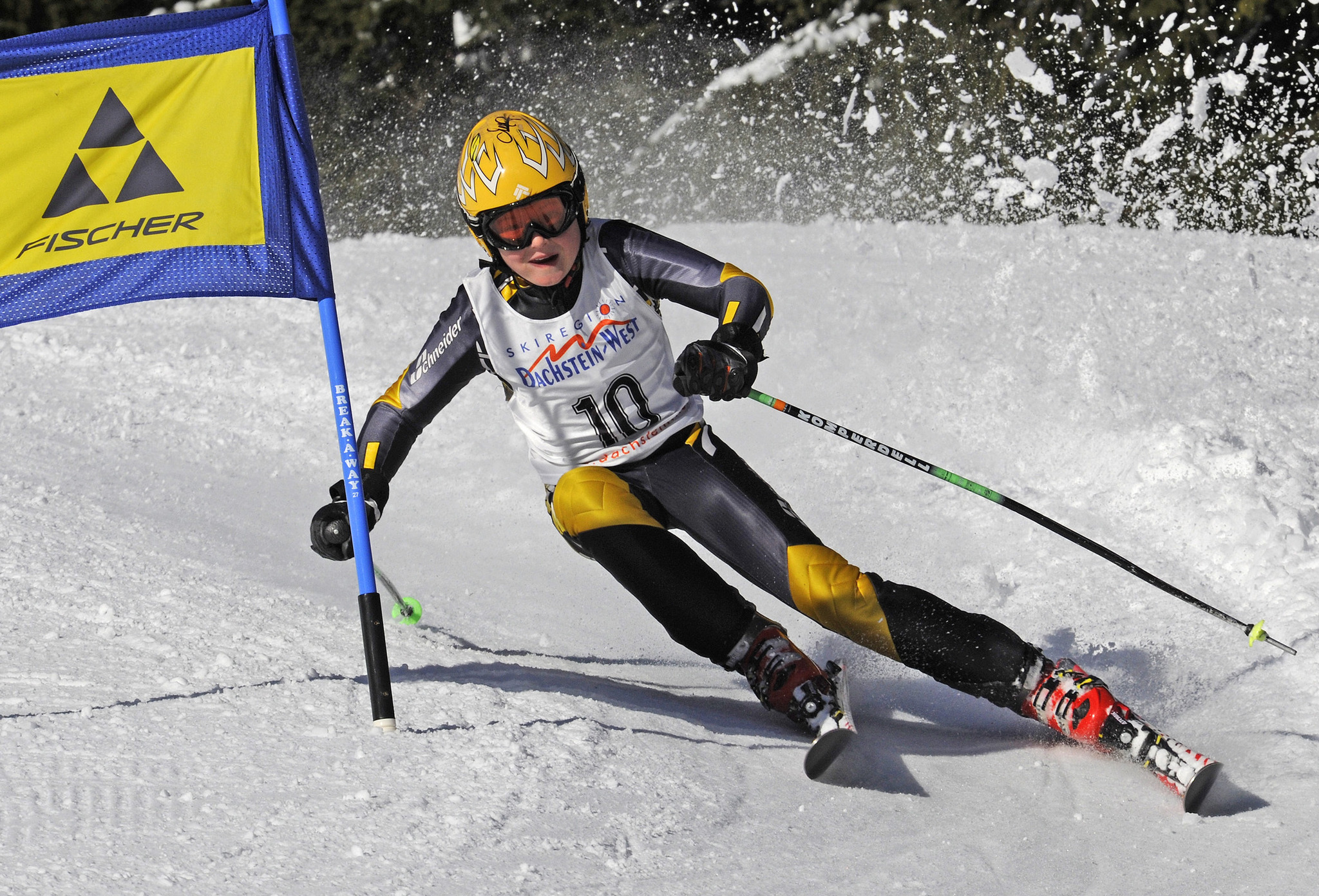 Micheal und Stefan Putz sind Mini-Cross Landesmeister - Salzkammergut