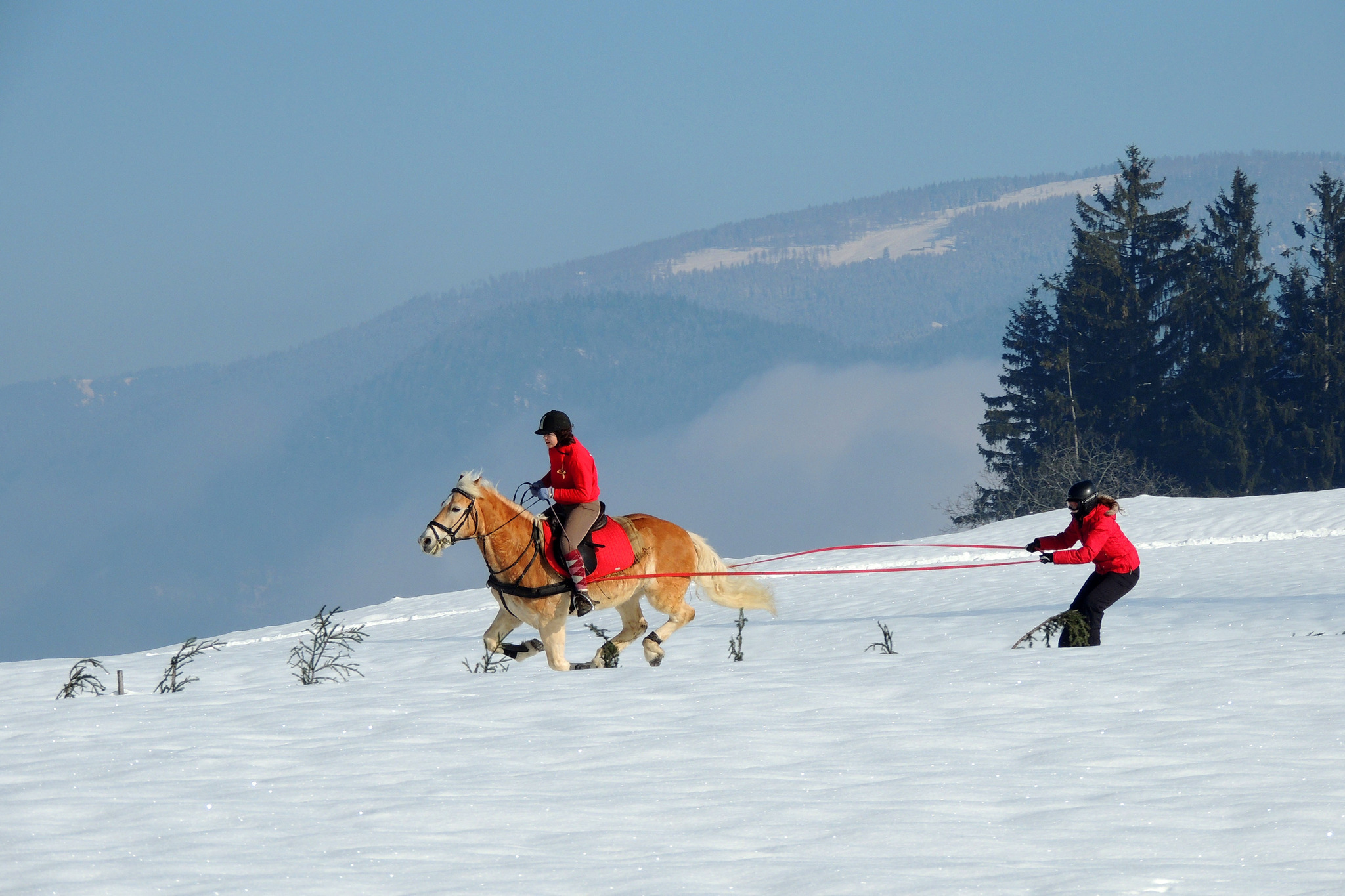 Skijöring in Heiligengeist bei Villach! - Villach