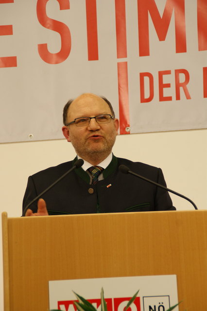 Julius Raab Statue für Rudi Wunsch - Zwettl