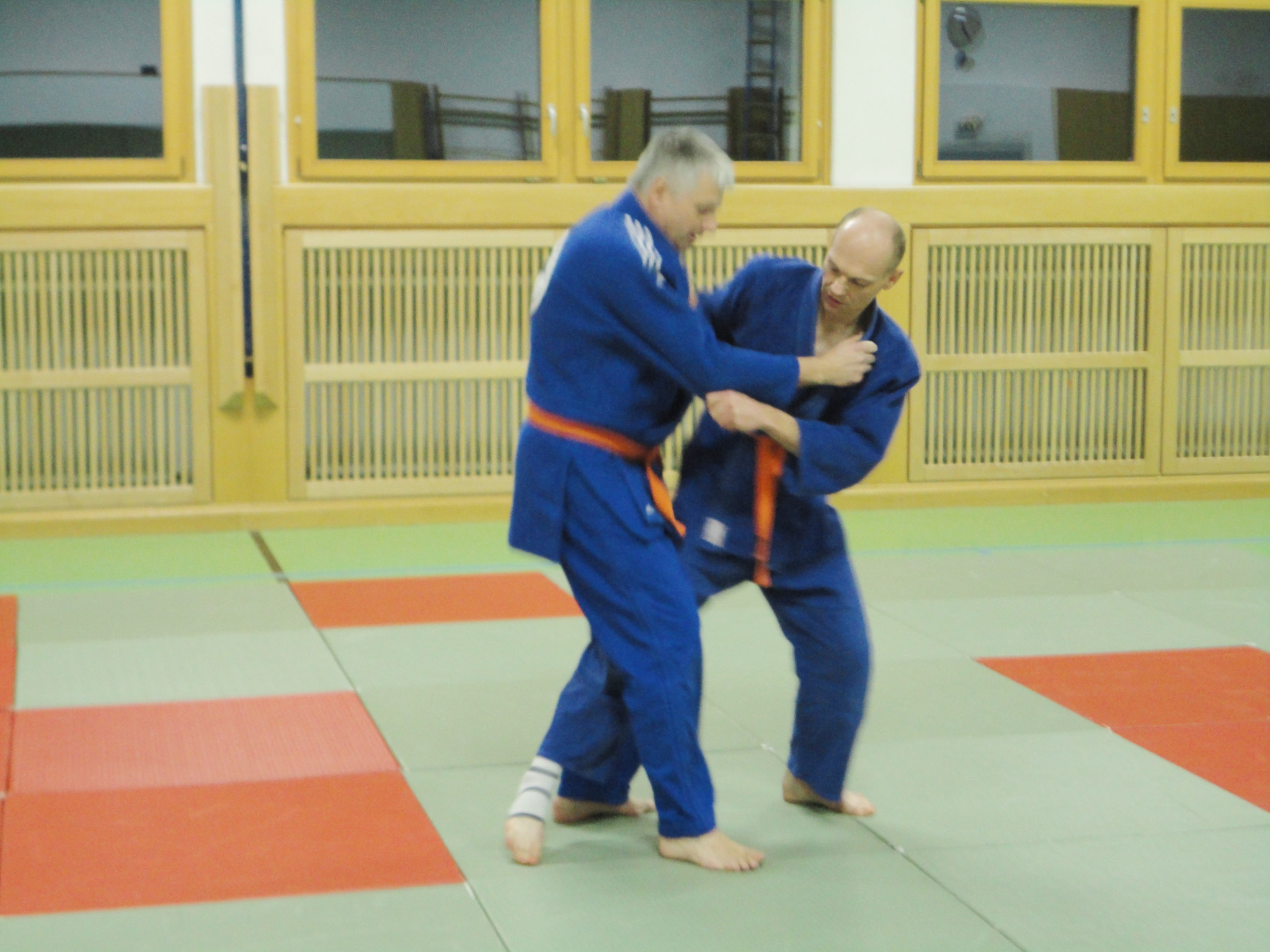 Judokas setzen 2013 auf Fortbildung - Lungau