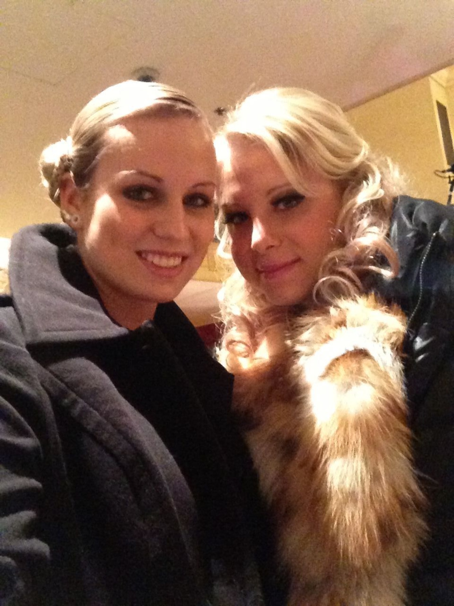 Katzi und ich tanzen heute noch in der Disco :) - Innere Stadt