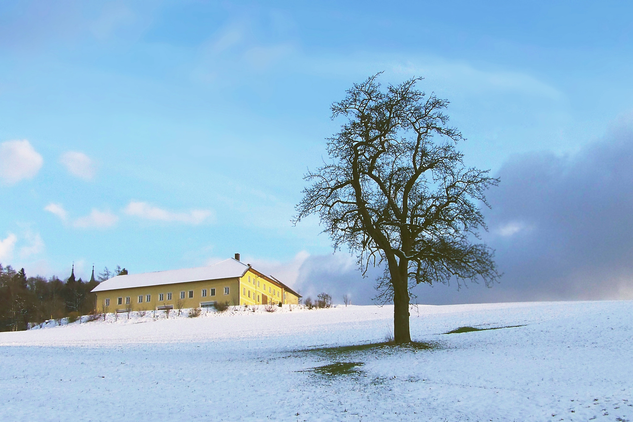 Winterspaziergang - Linz
