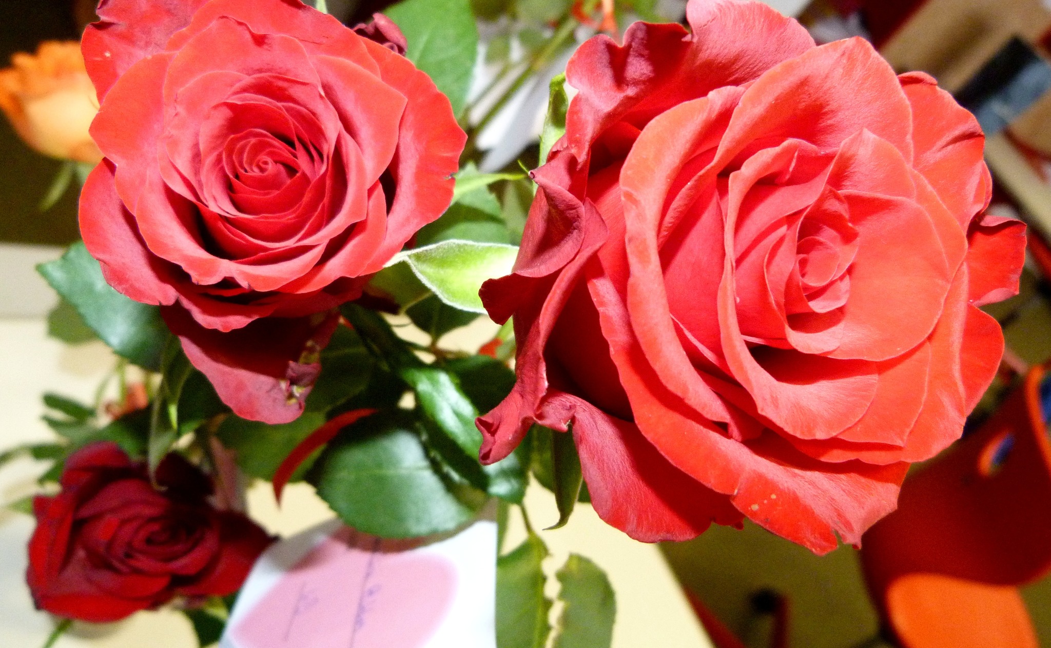 Tag der Rosen und der Herzen - Grieskirchen & Eferding