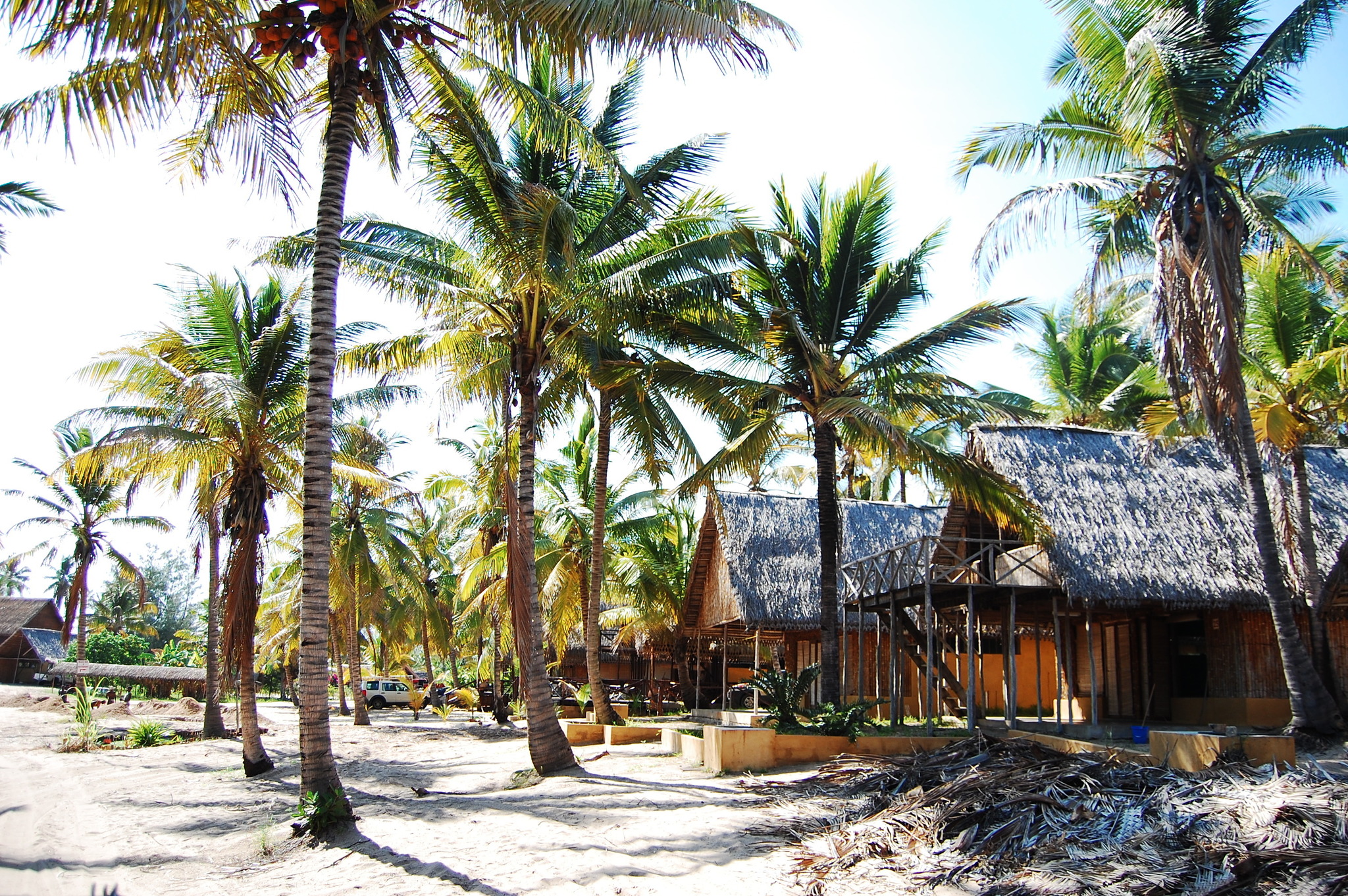 Mosambik der Traum von Afrika - Reisereportage - Südoststeiermark