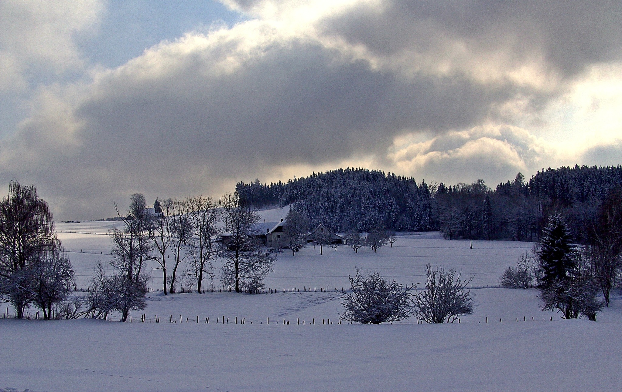 Moosbauer Hof - Feldkirchen