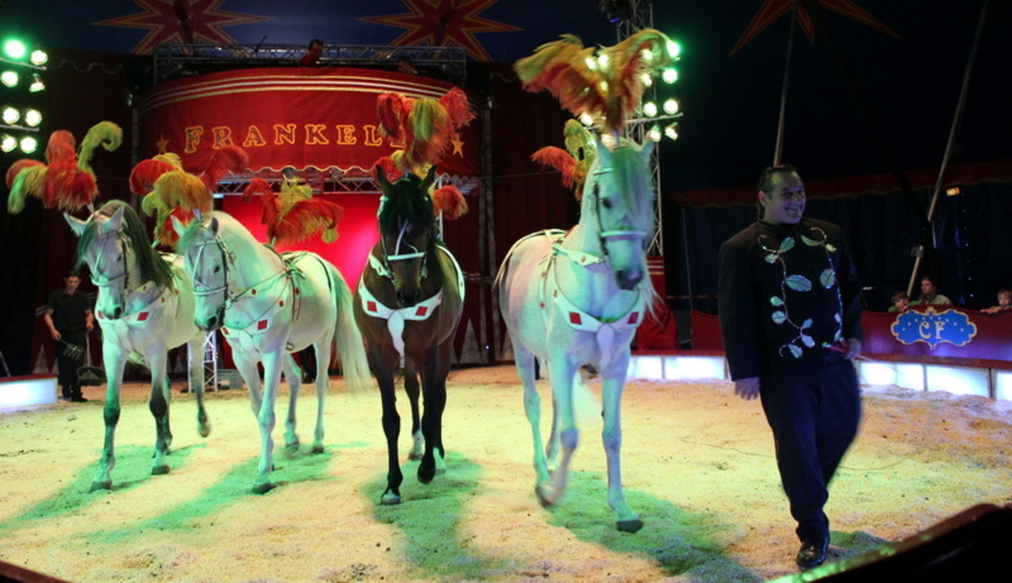 Die WOCHE schickt Sie mit der ganzen Familie zum Zirkus! - Deutschlandsberg