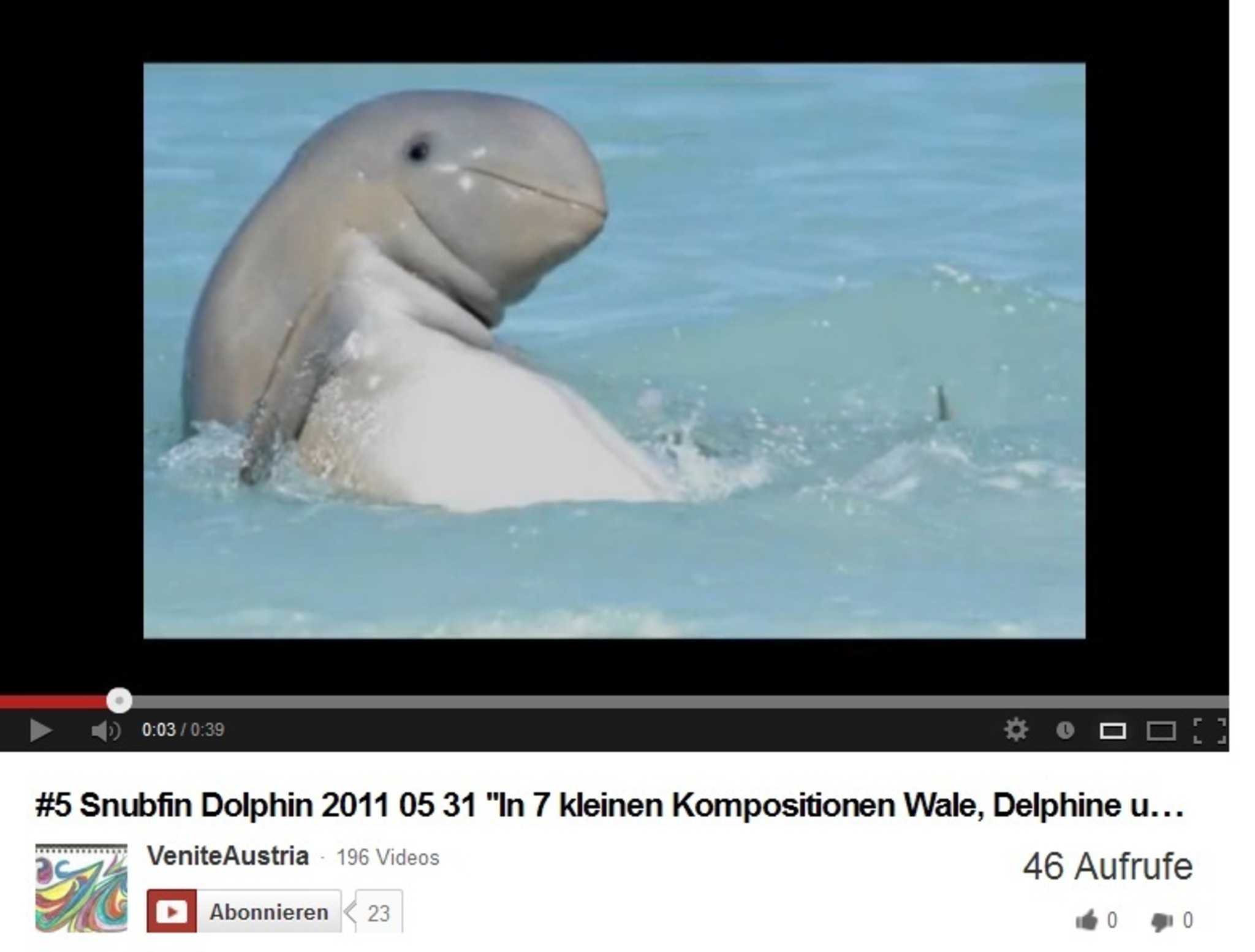 Rettet die Snubfin-delphine (lustiges 30 Sekunden Video): - Favoriten