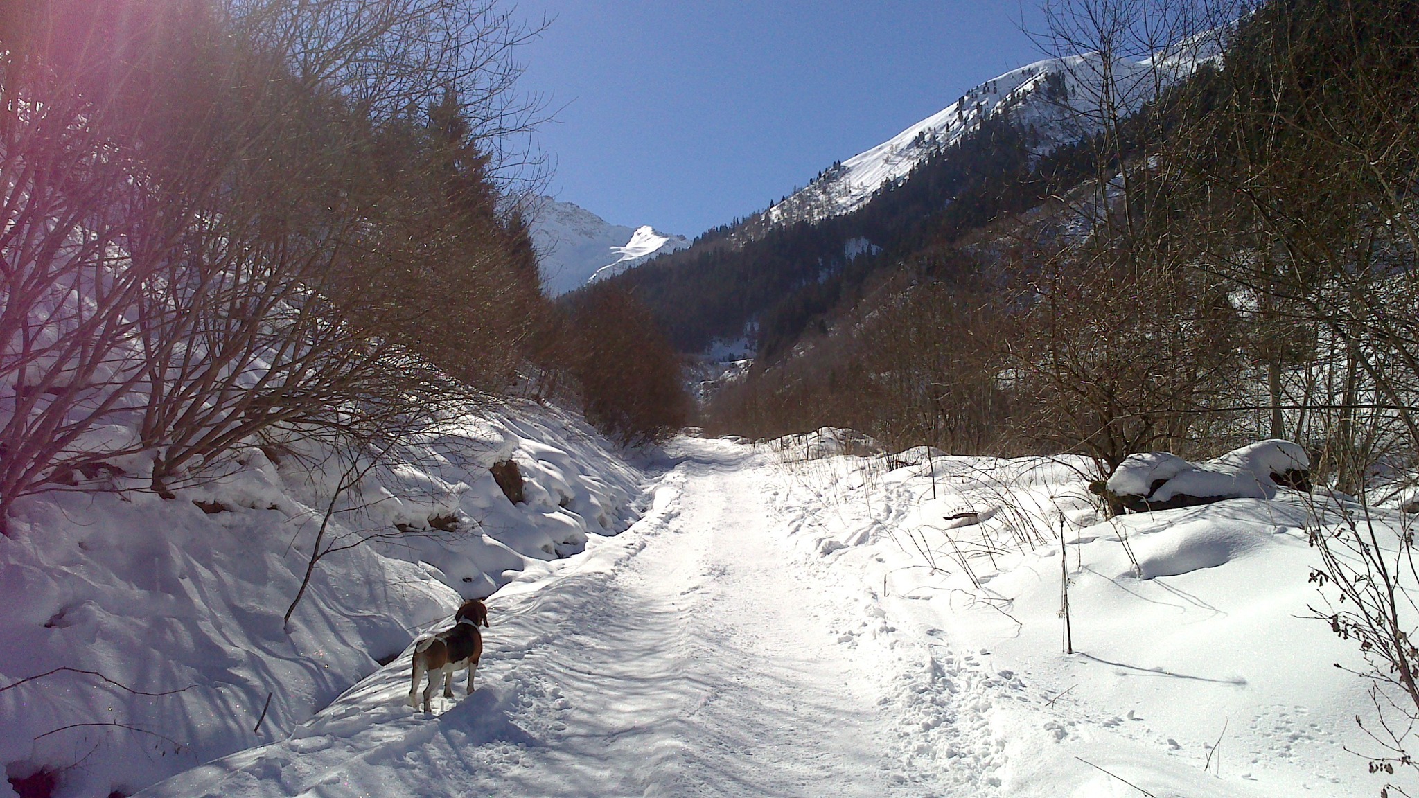 So schian do miasma aufm Berg aui - Telfs