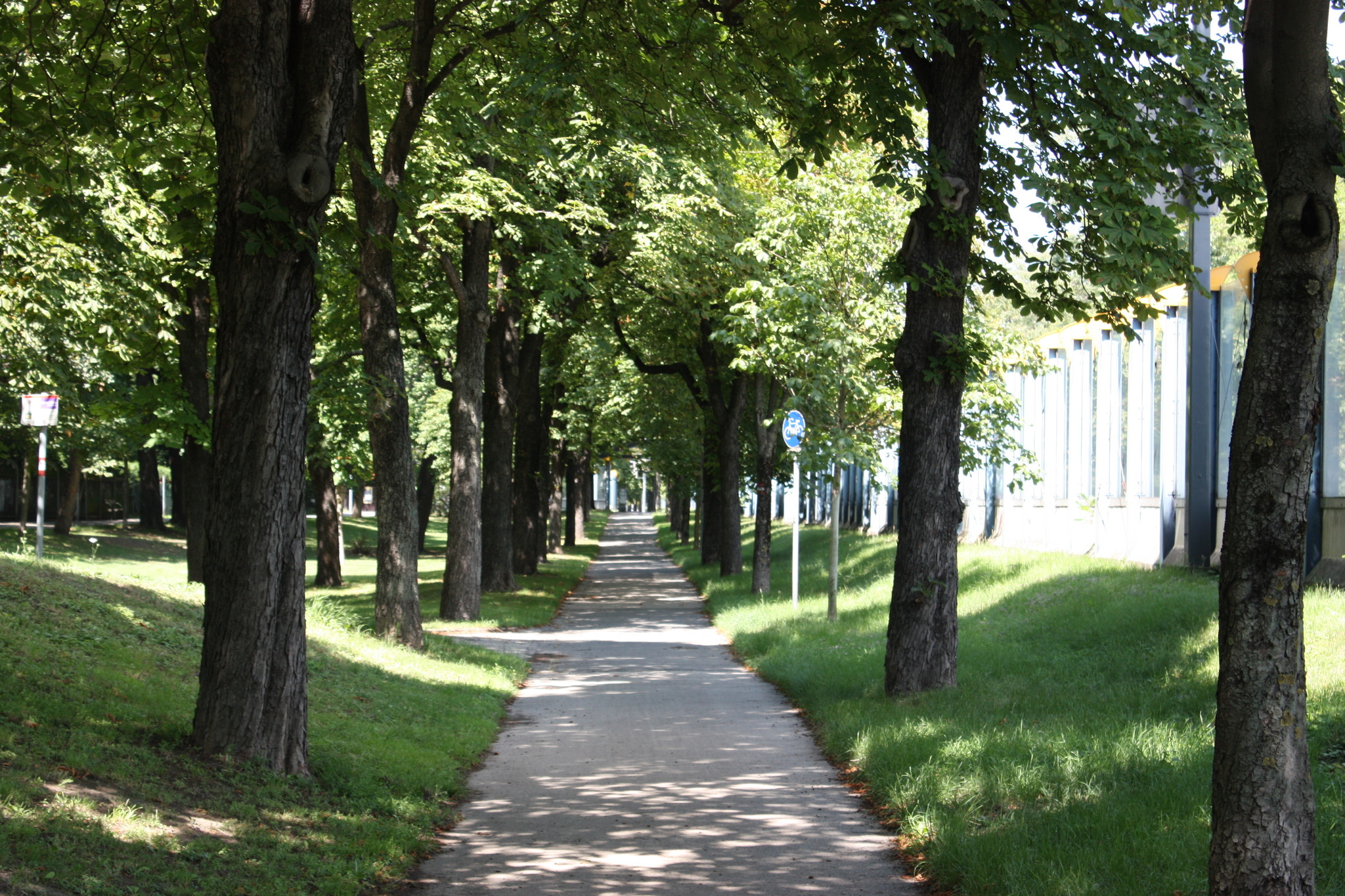 So schön ist Penzing im Frühling - Penzing