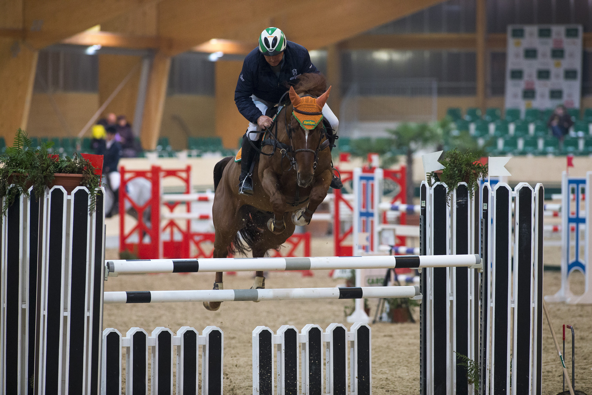 Magna Racino/ Starke Amazonen beim nationalen Springturnier im Magna ...