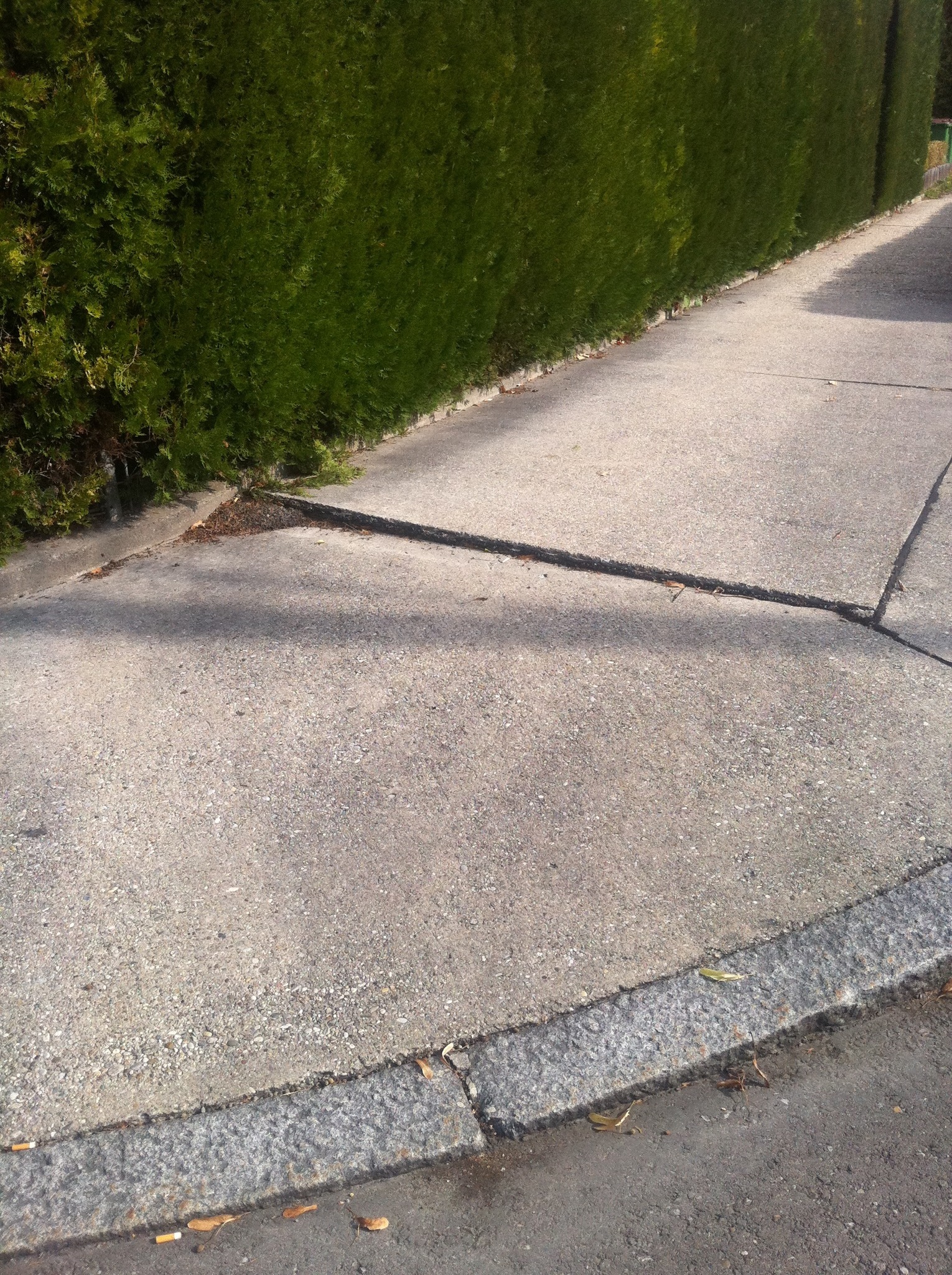 Gemeingefährlicher Gehsteig - Donaustadt