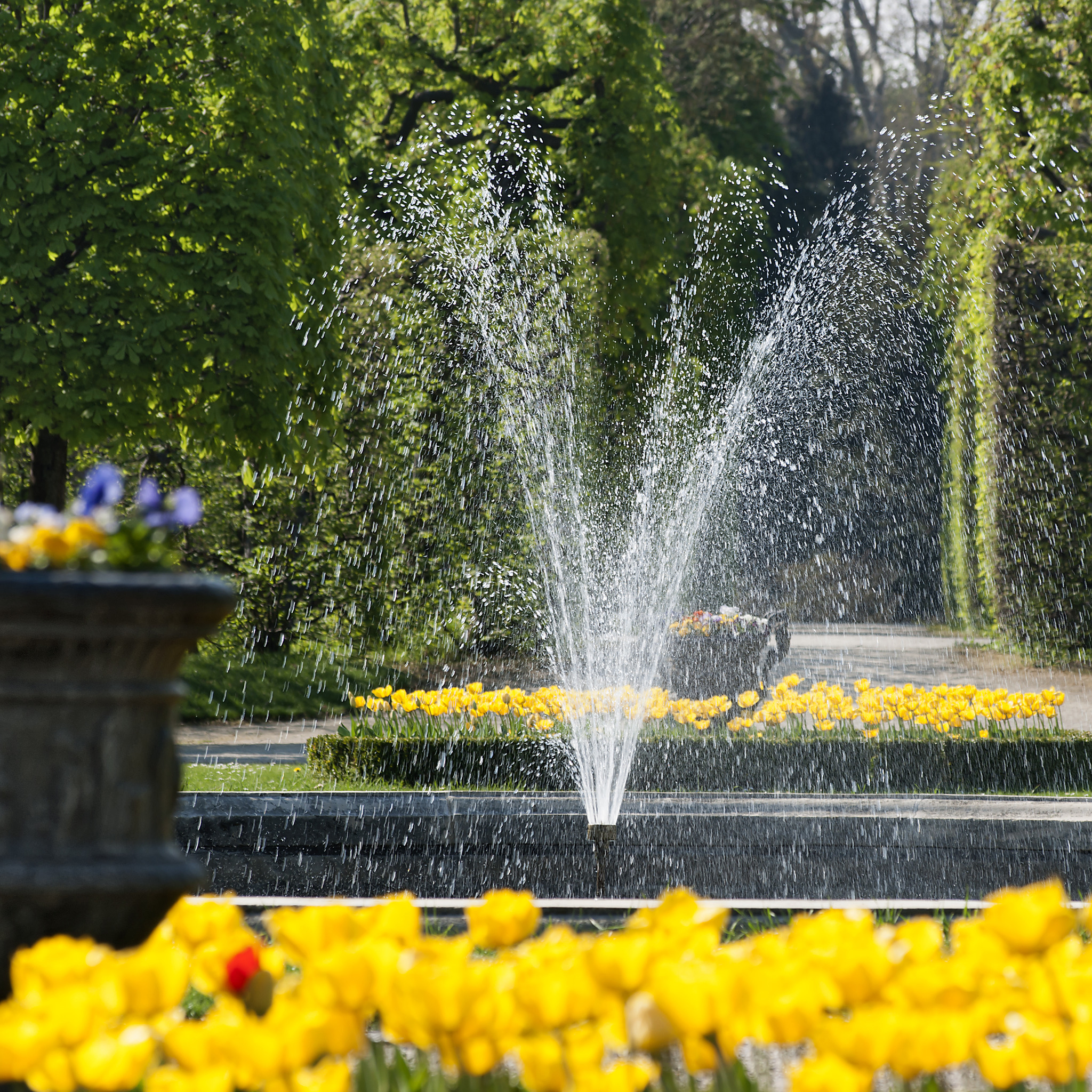Springbrunnen Schloss Schönbrunn - Hietzing