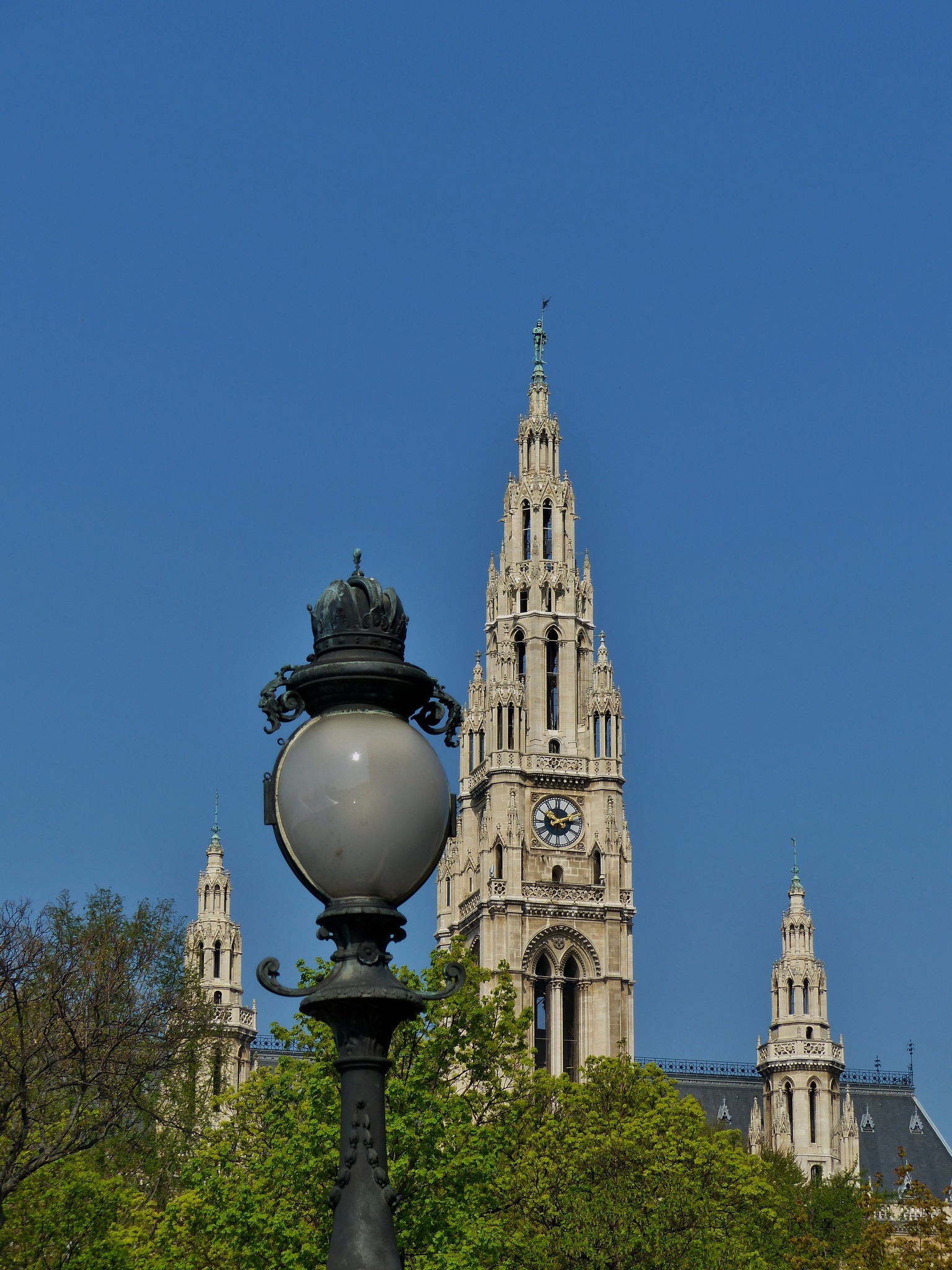 Blick vom Volksgarten zum Rathaus - Neubau