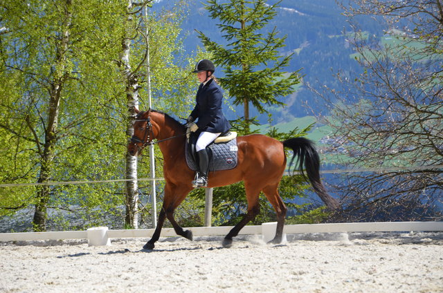 Erfolgreicher Turnierstart für Telfer Dressurreiterinnen - Telfs