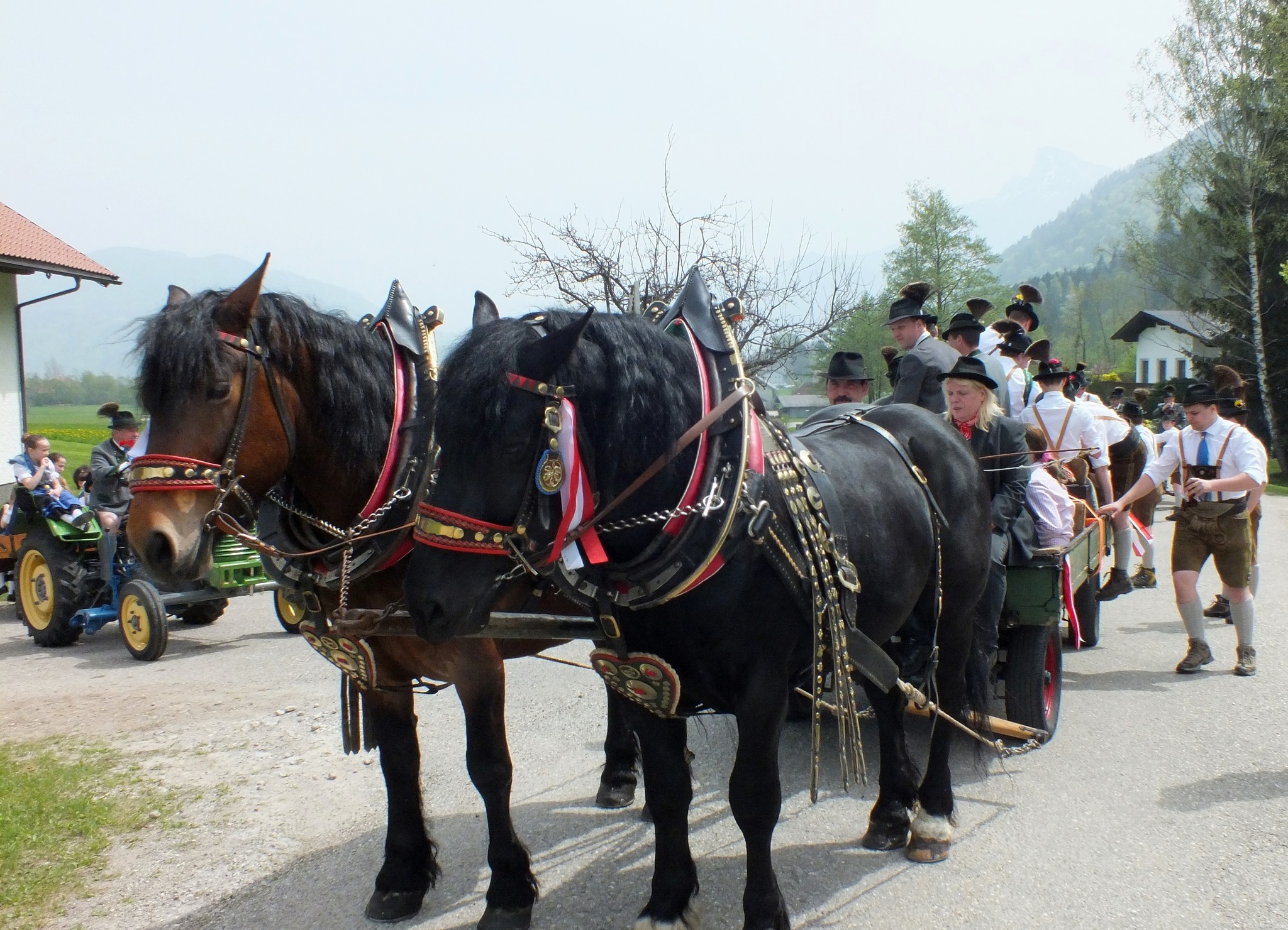 Wie es der Brauch ist Maibaum aufstellen mit Muskelkraft ! - Vöcklabruck