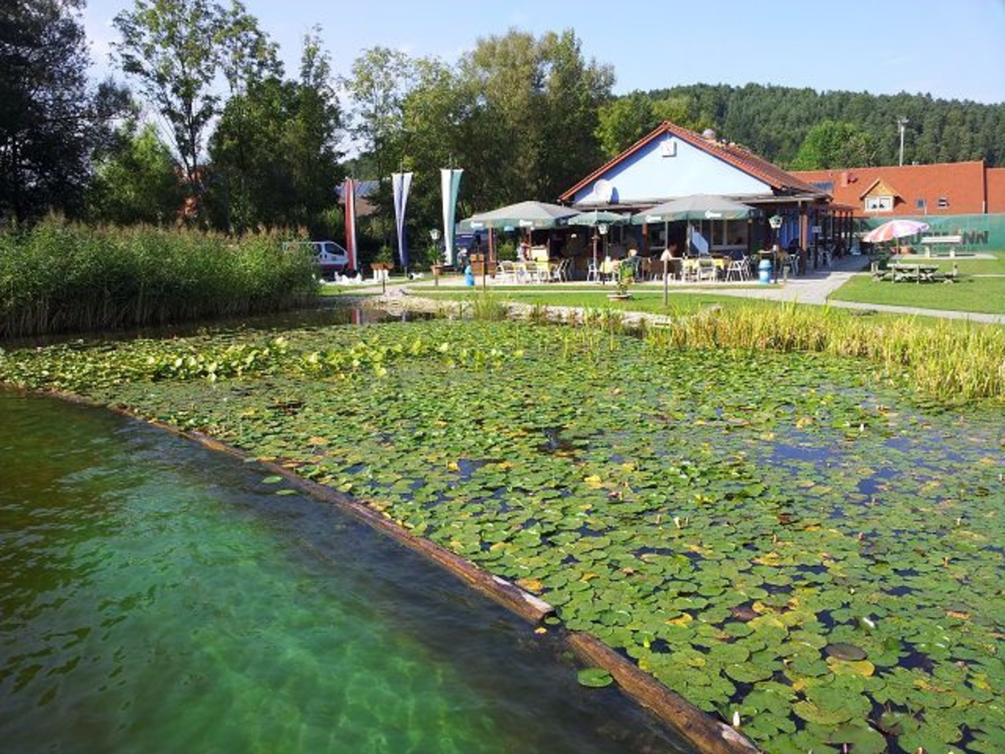 Badefreuden im Naturteich - Graz-Umgebung