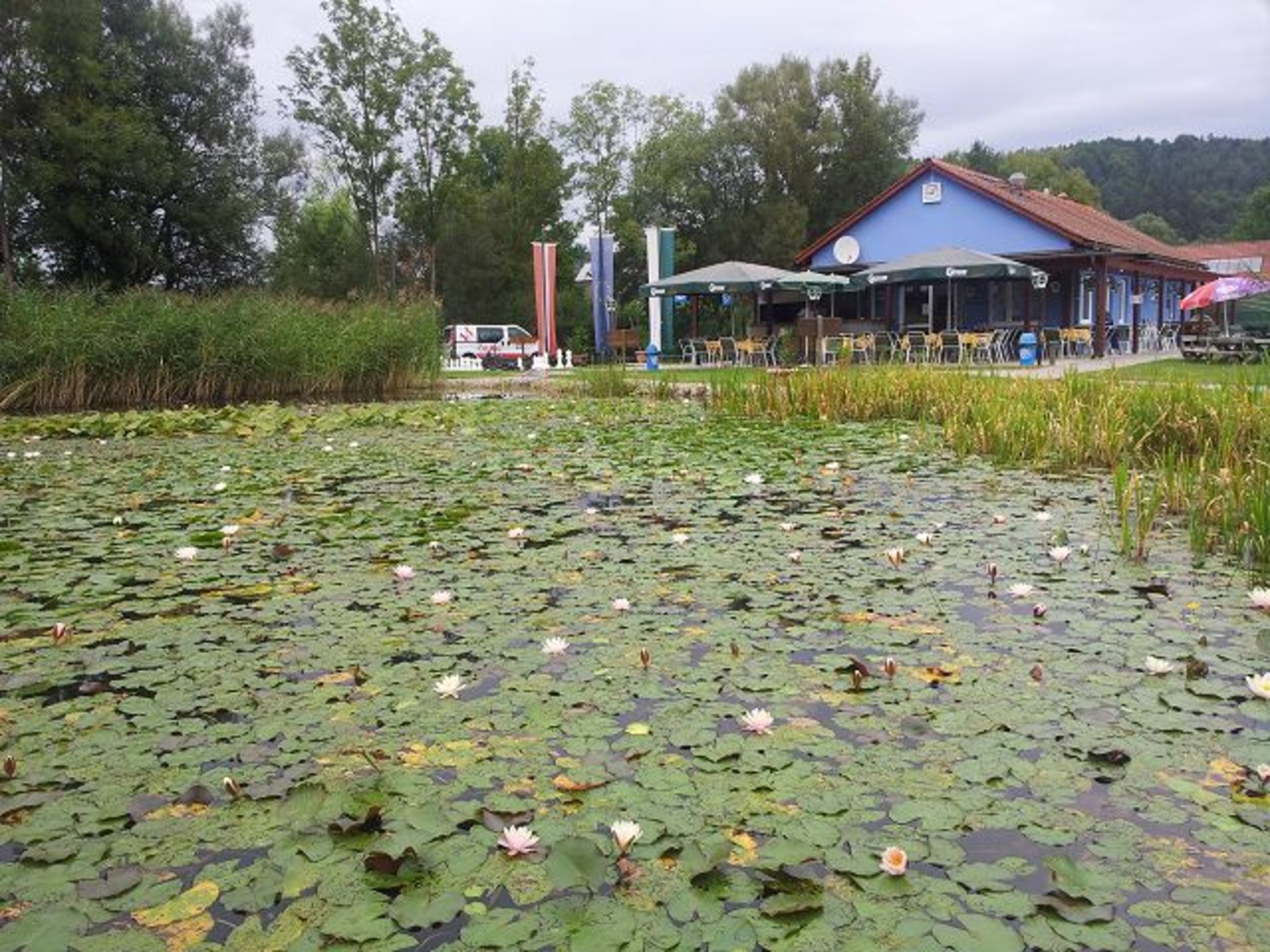 Naturbadeteich - Graz-Umgebung