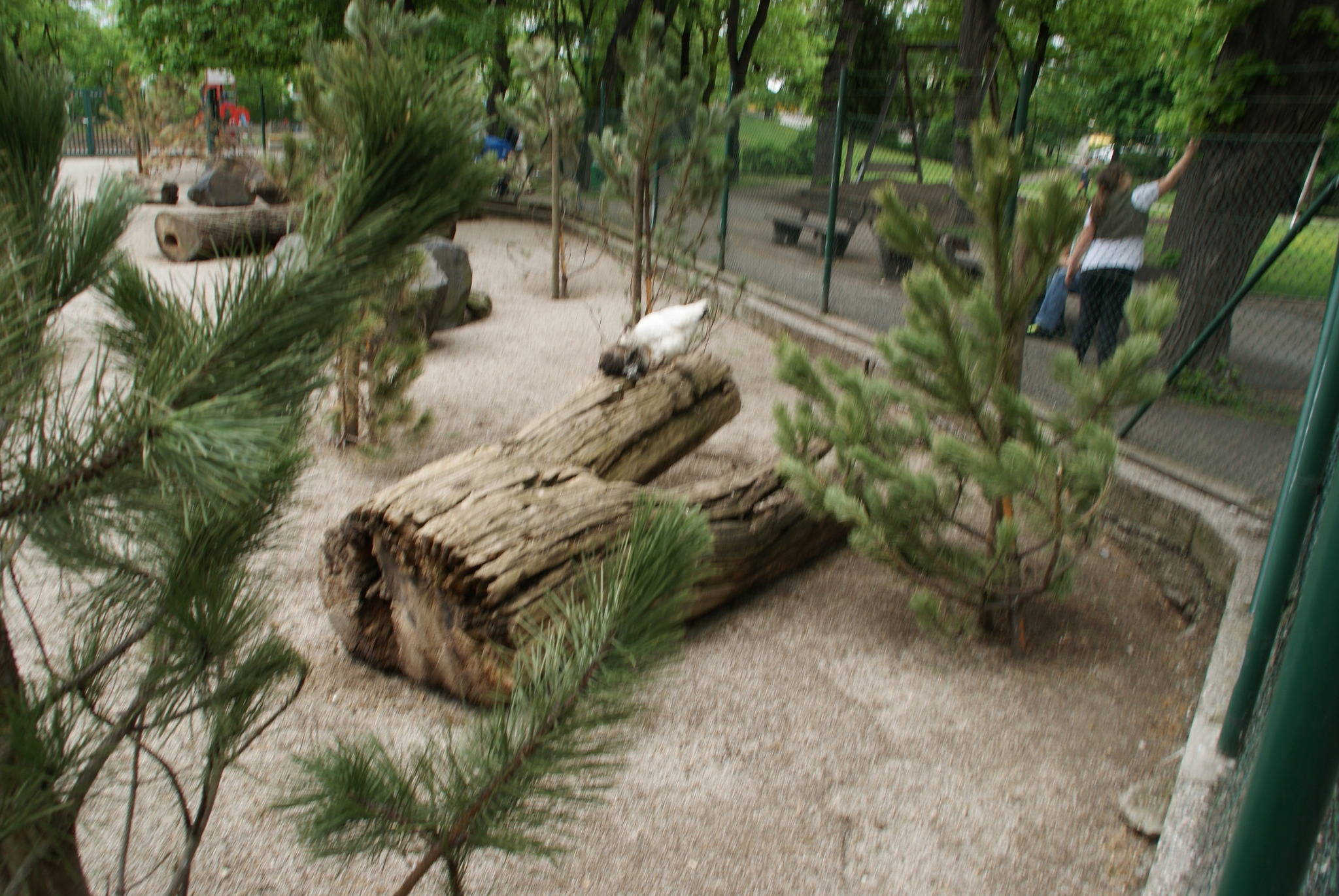 Die tierischen Stars des Stadtparks - Wiener Neustadt