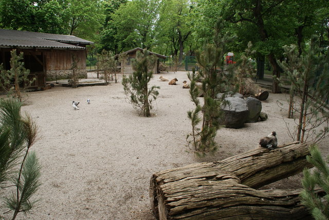 Die tierischen Stars des Stadtparks - Wiener Neustadt