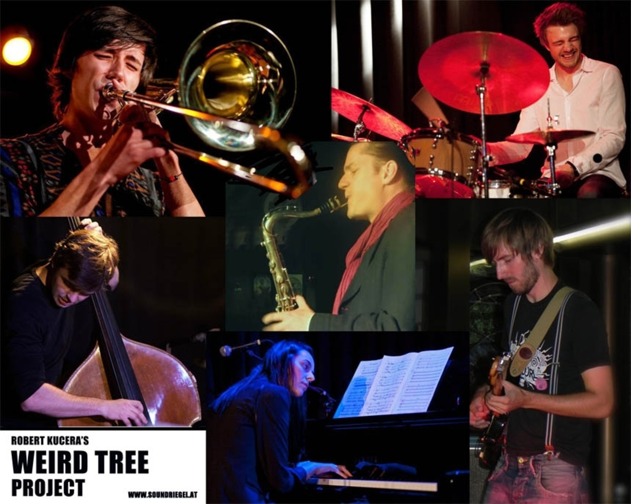 Robert Kucera's Weird Tree Project - Innere Stadt