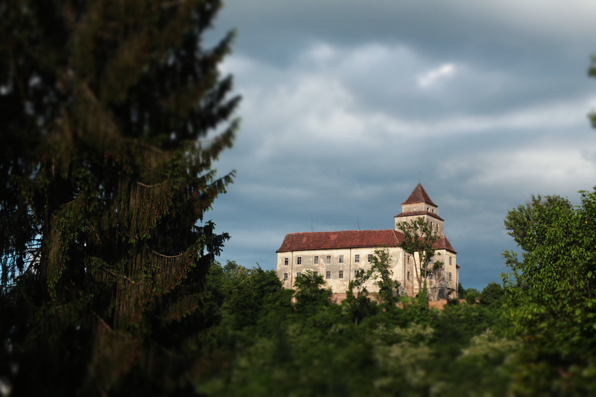 Schloss Ehrenhausen - Leibnitz