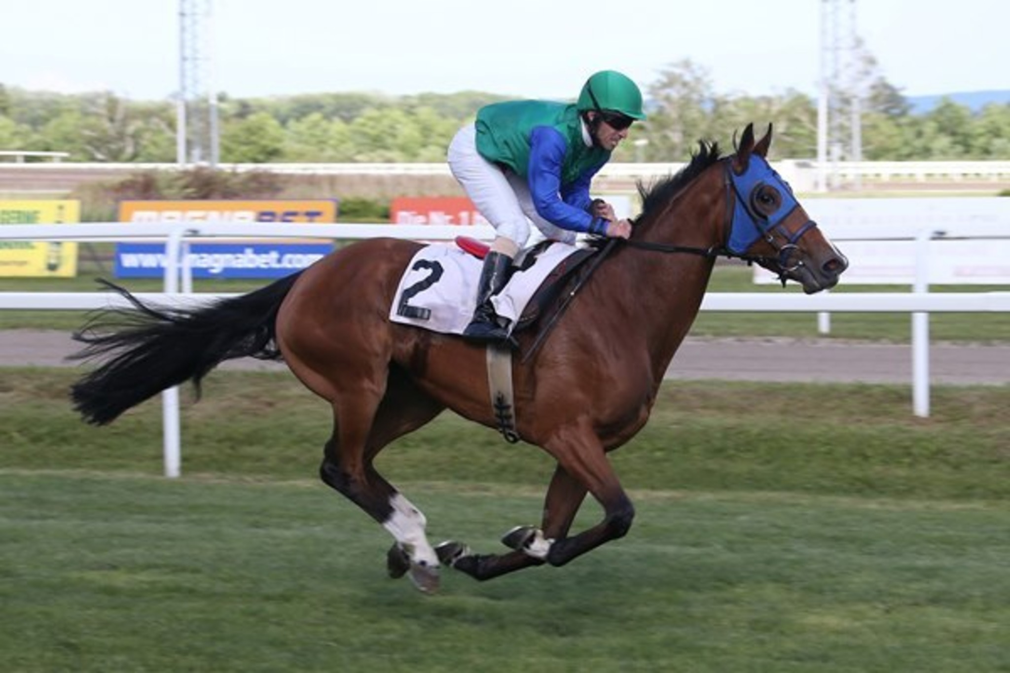 Magna Racino - Spannender Rennsport, Polovorführungen und buntes ...
